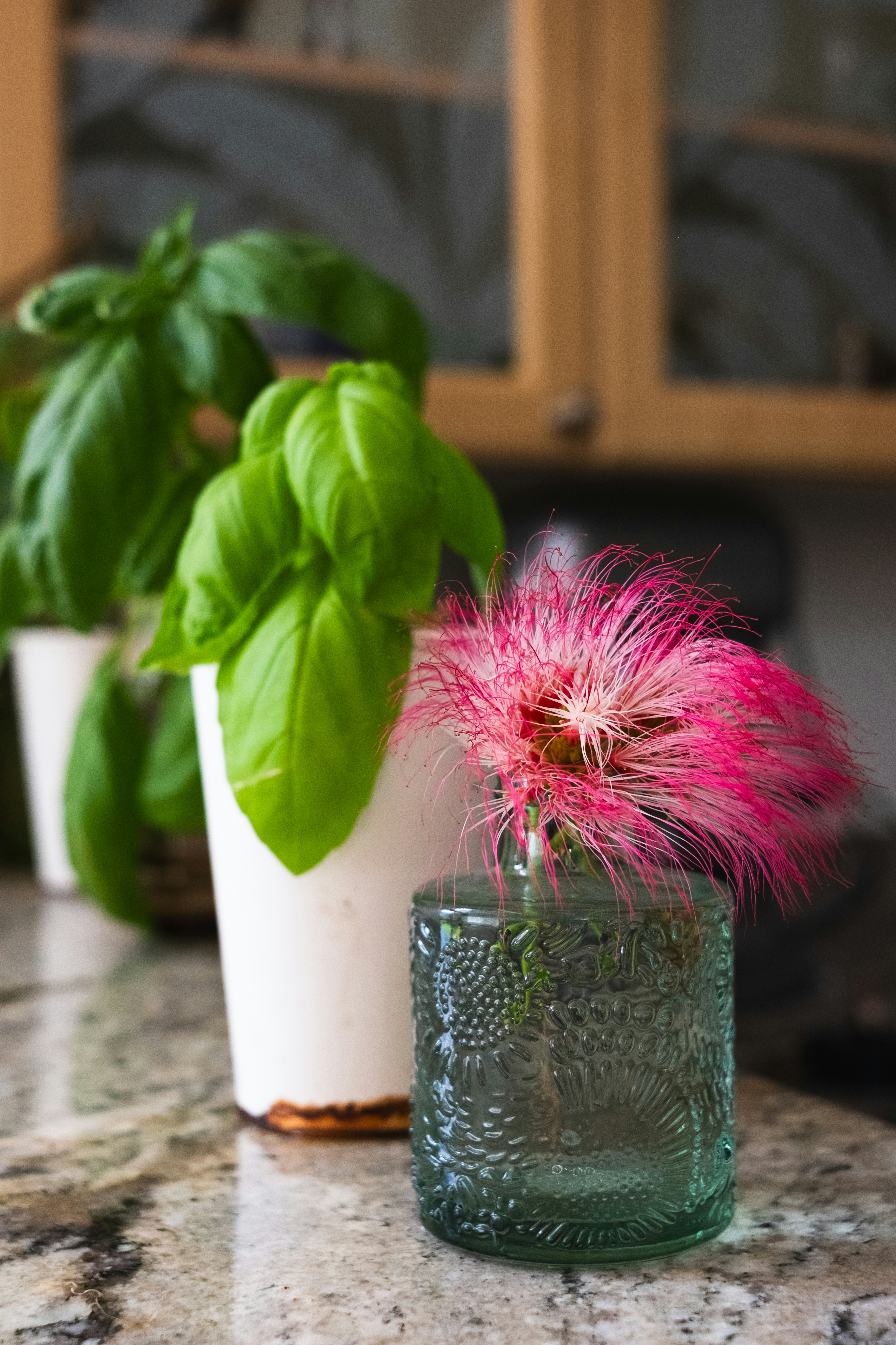 Pink Bristles in a teal Glass: A Tiny Florentine Moment on the Kitchen Counter