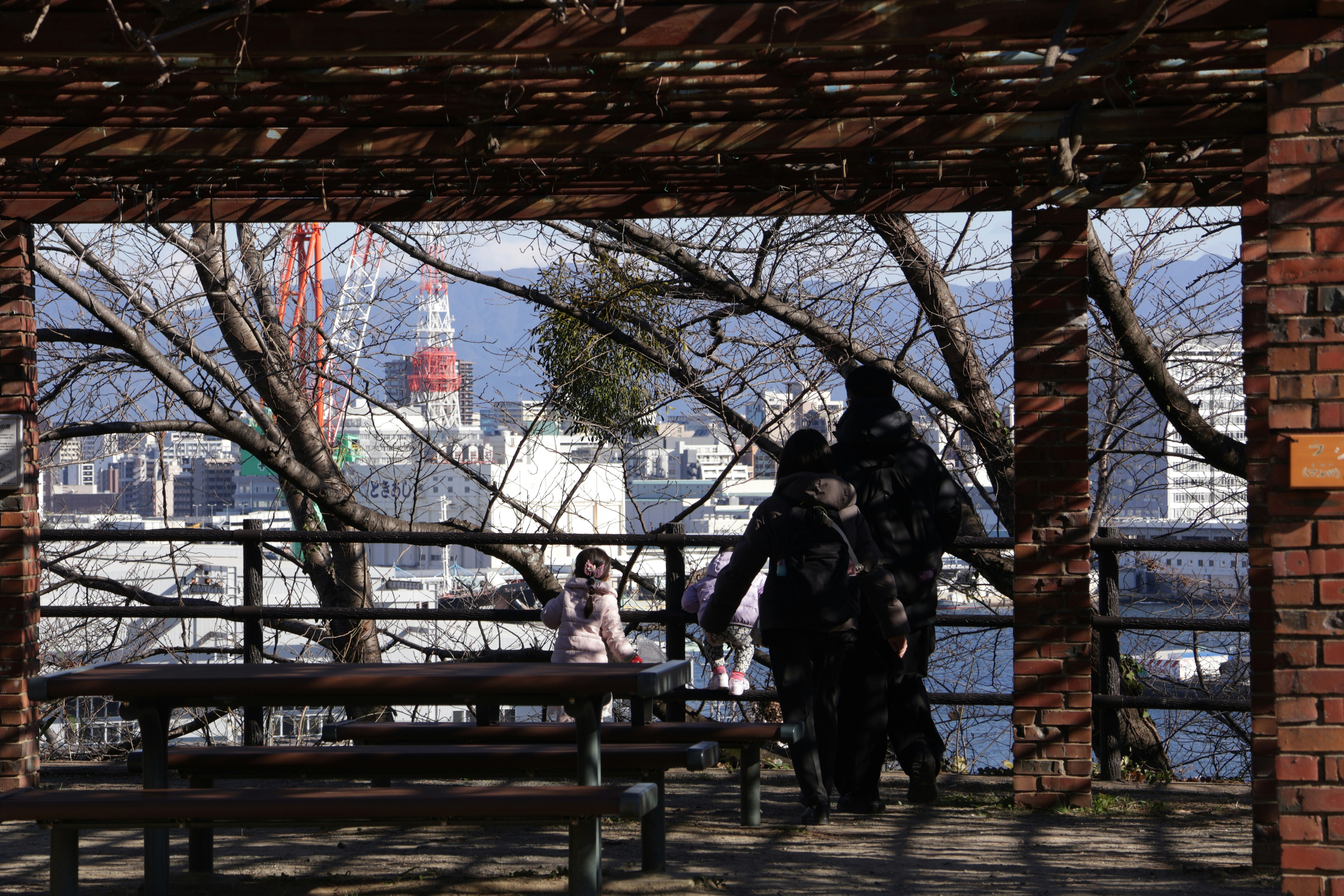 Quiet Overlook: A silhouette of companionship under a lattice of branches
