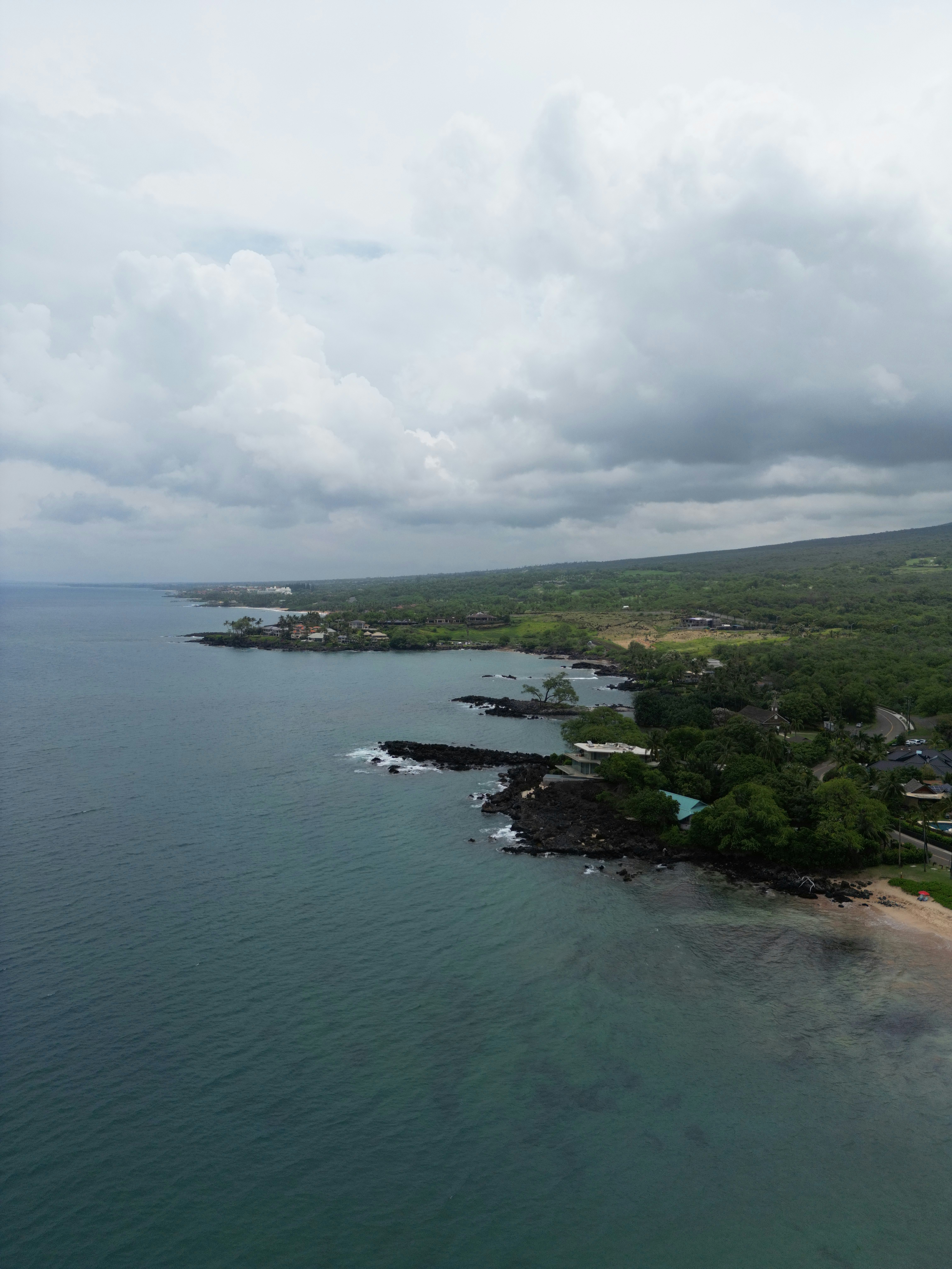 Coastal Harmony: A Quiet Plein Air Overlook