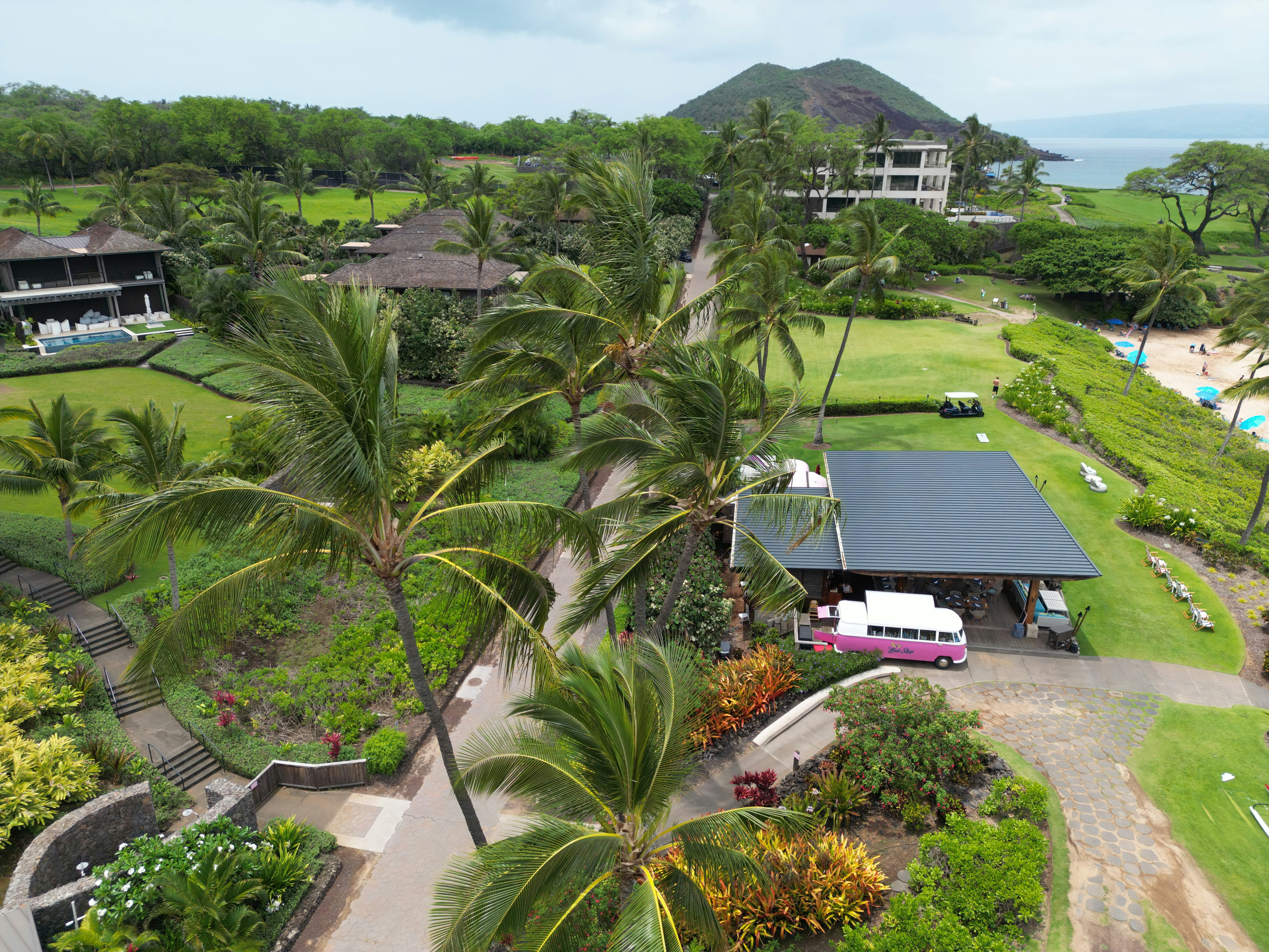 Resort Pathways Under Fragile Palm Canopy