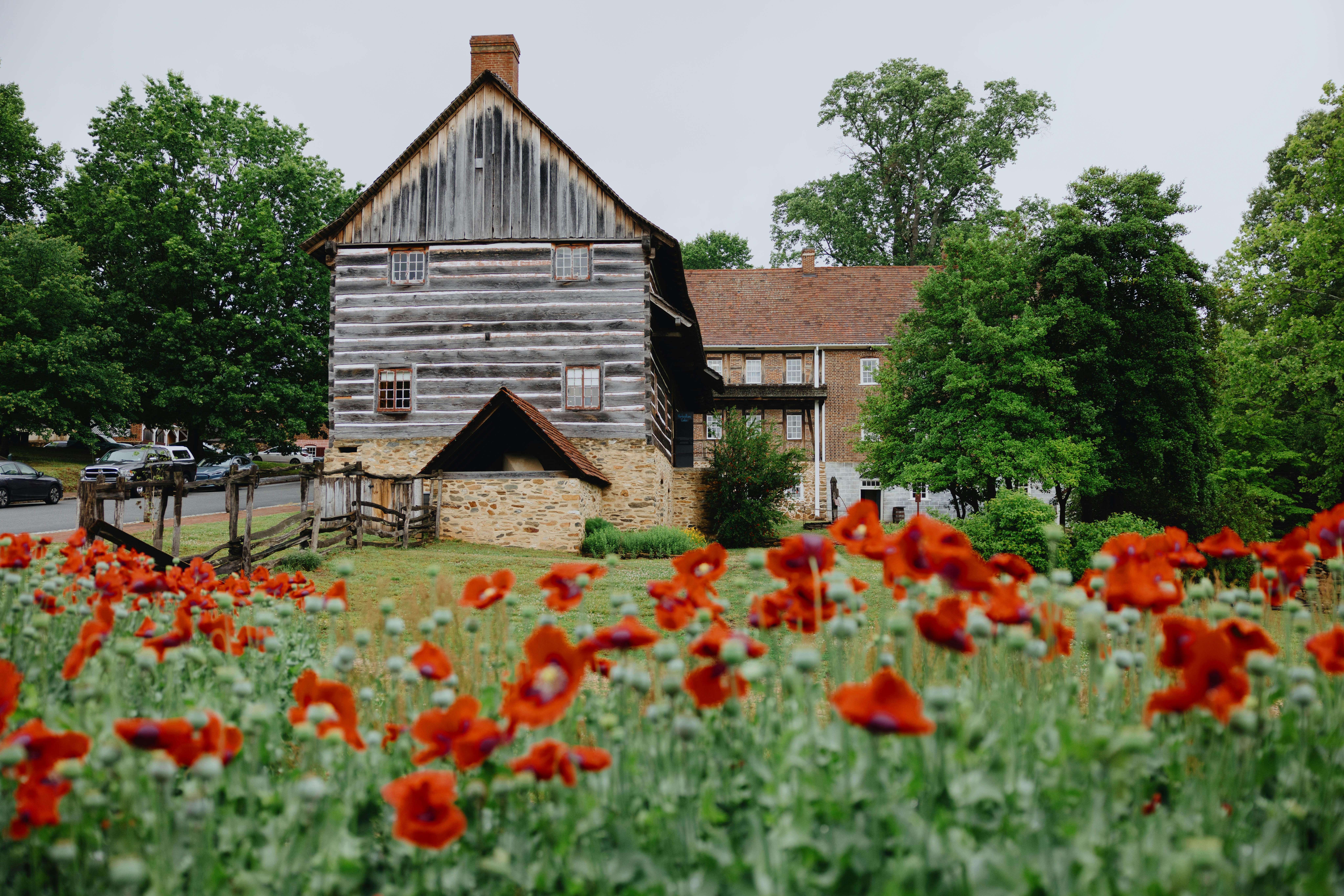 Weathered Barn Framed by Poppy Meadow