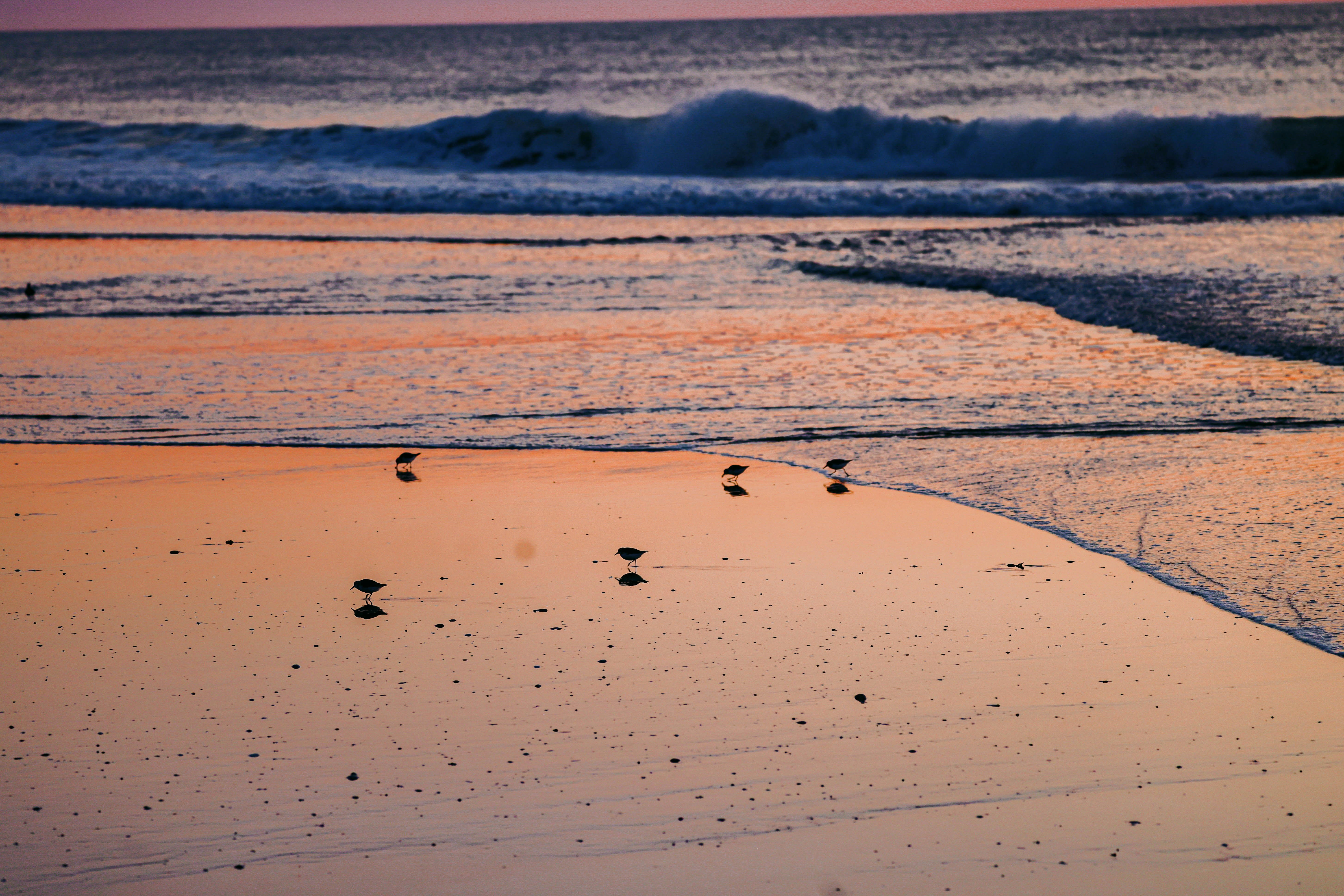 Horizon Glow: Shoreline Silhouettes at Dusk