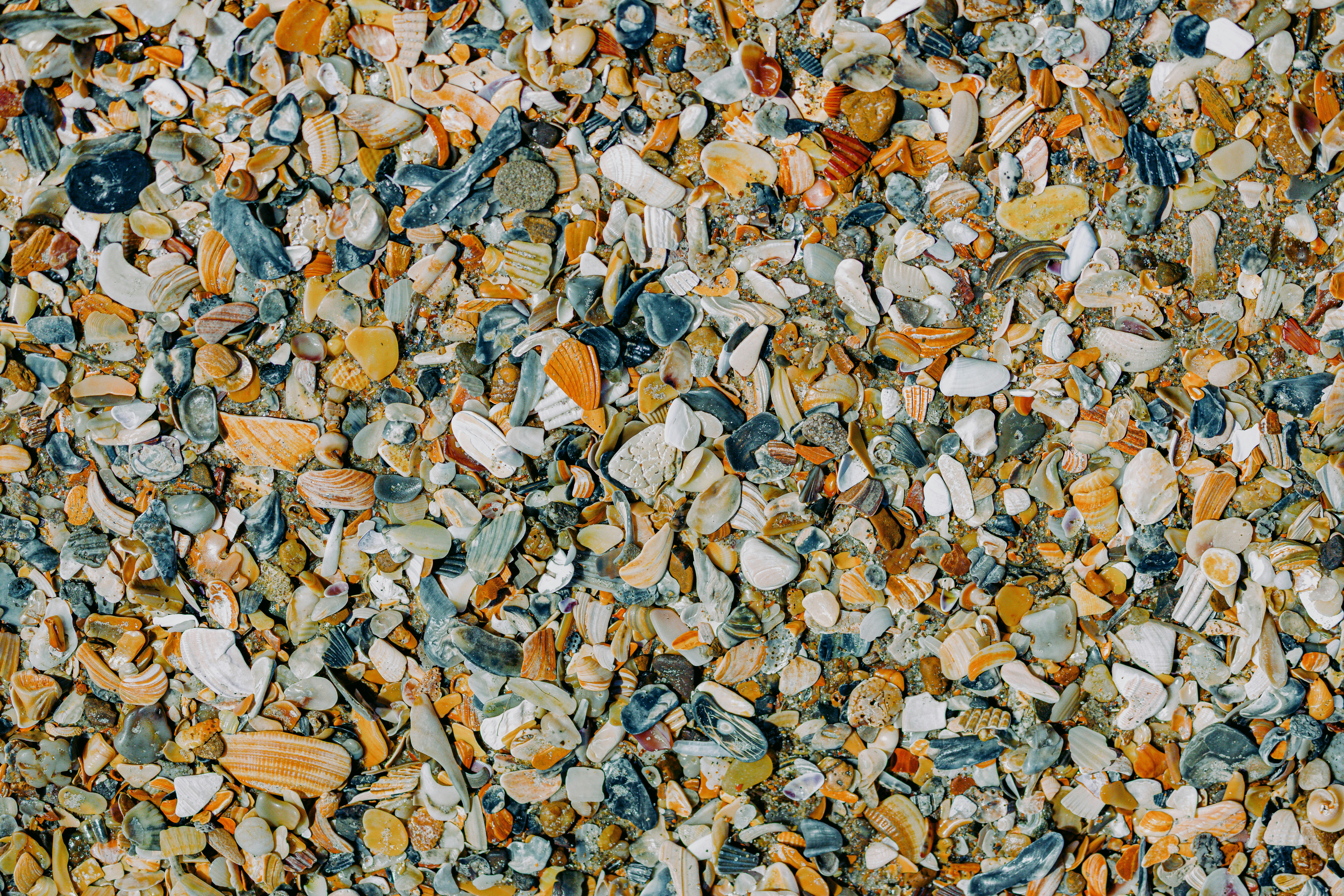 Multicolored Pebble Mosaic Under Quiet Beach Light