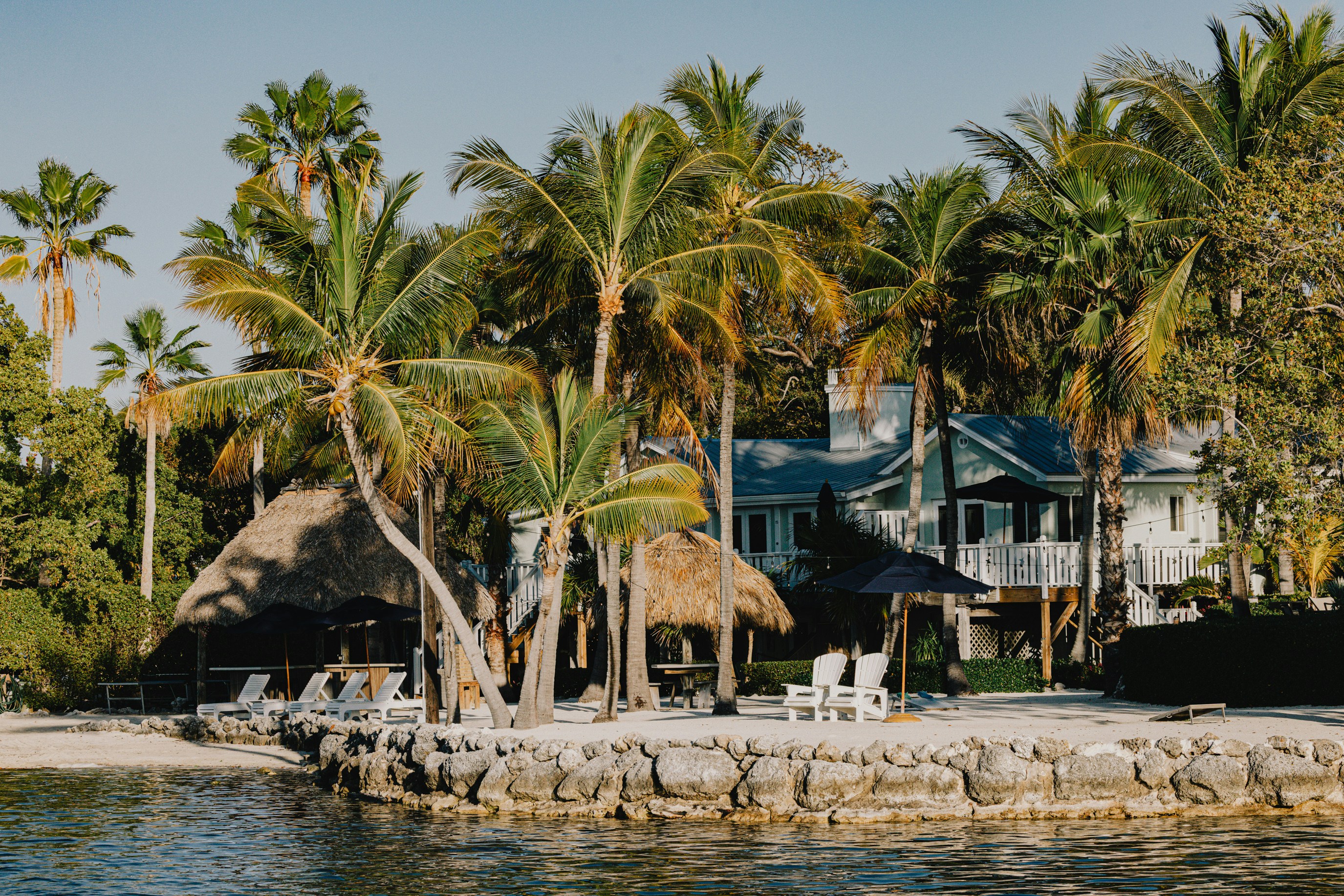 Tropical Waterfront Retreat with Palm-fringed Shoreline