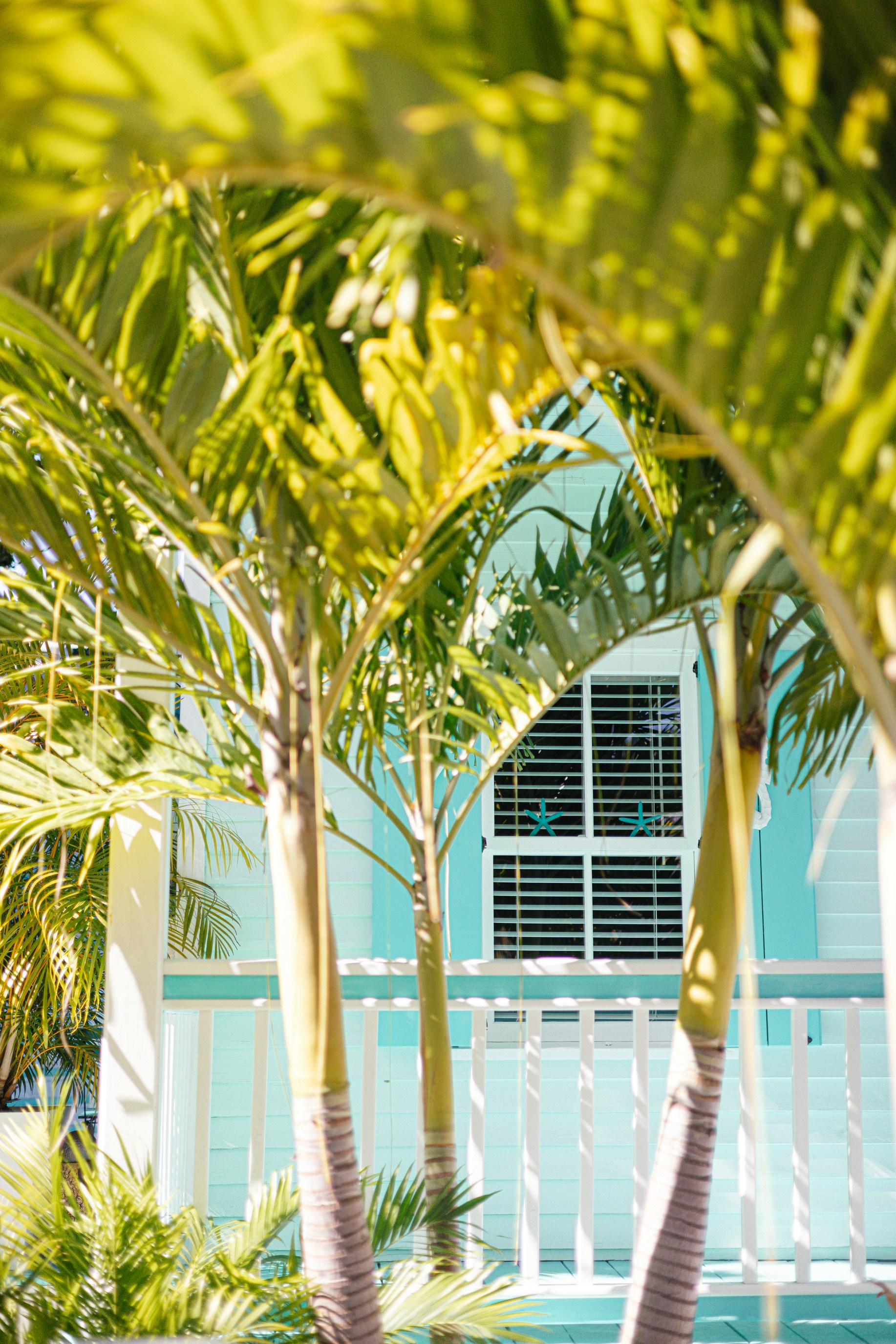 Sunlit palms frame a turquoise coastal home