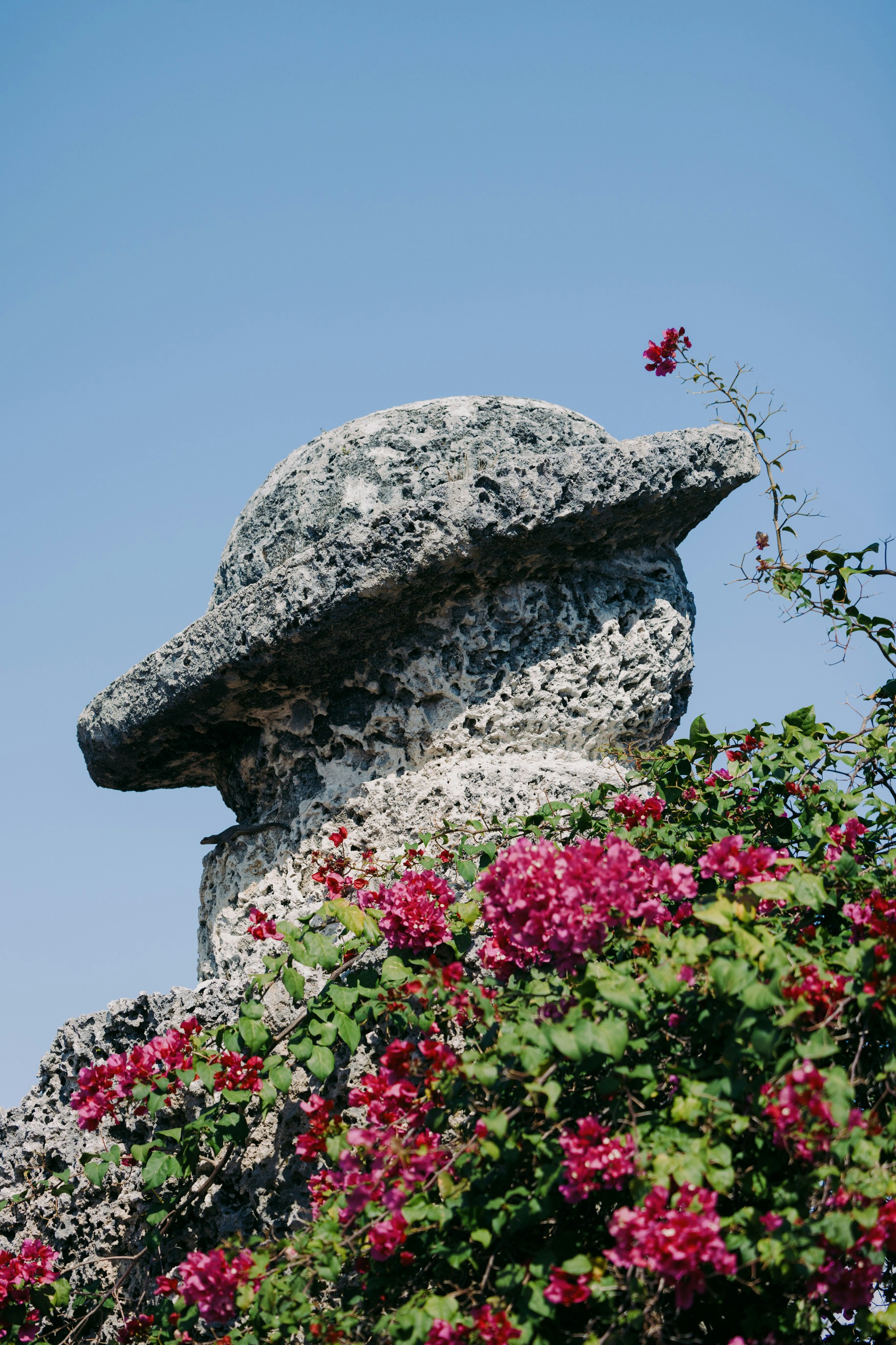 Stone Cap atop a Weathered Pillar Framed by Bougainvillea in Bloom