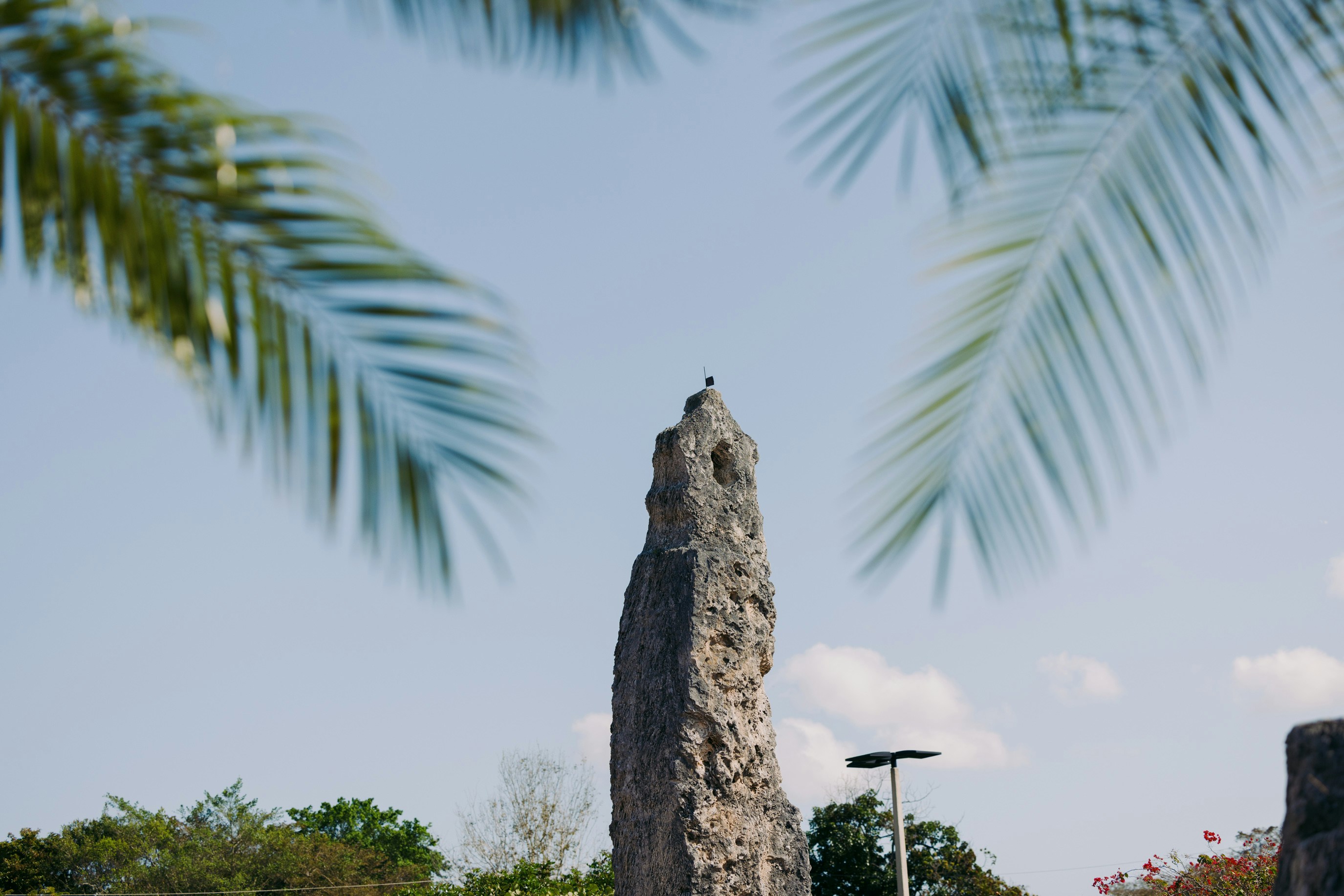 Stone Sentinel Rising Beneath a Framing Canopy