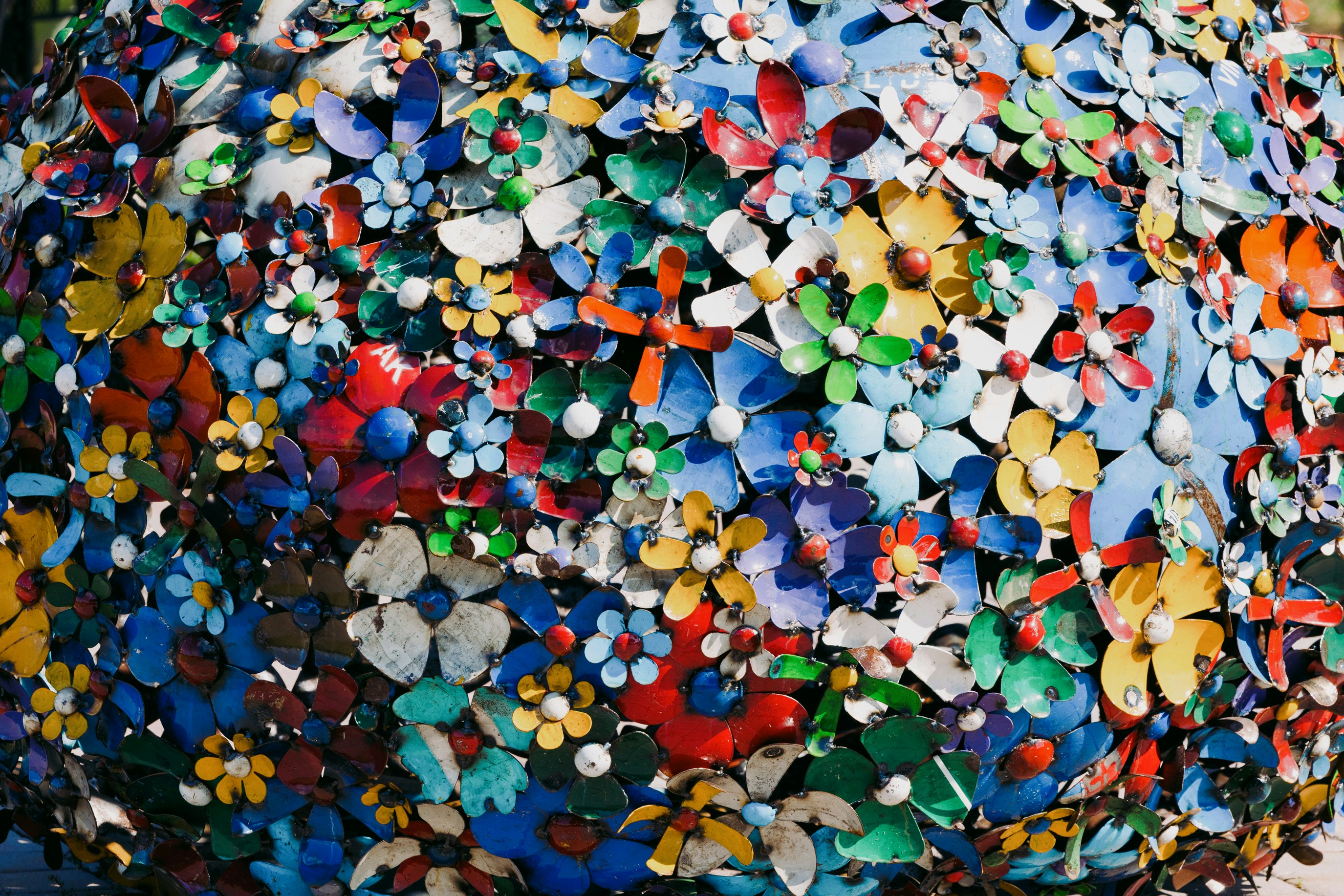 A Tapestry of Tiny Flowers in Motion