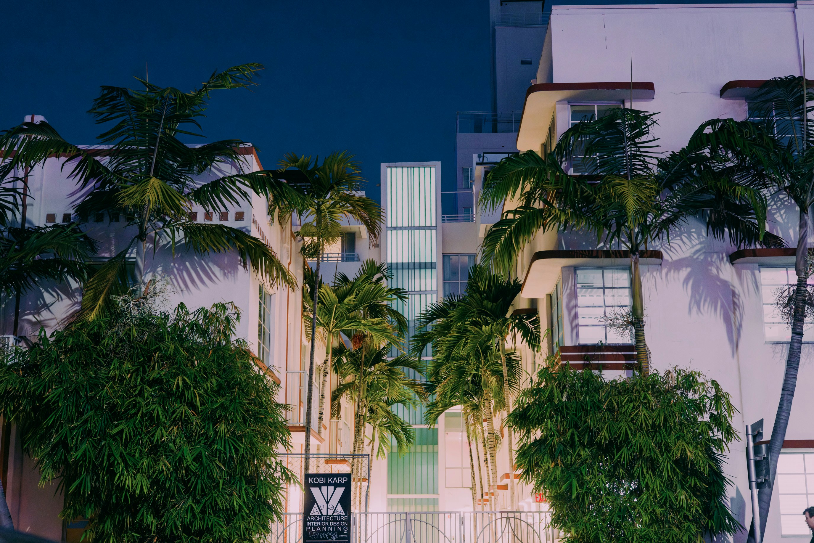 Nightlife in Neon Facade: Palm-framed Architecture Under Moonlit Blues