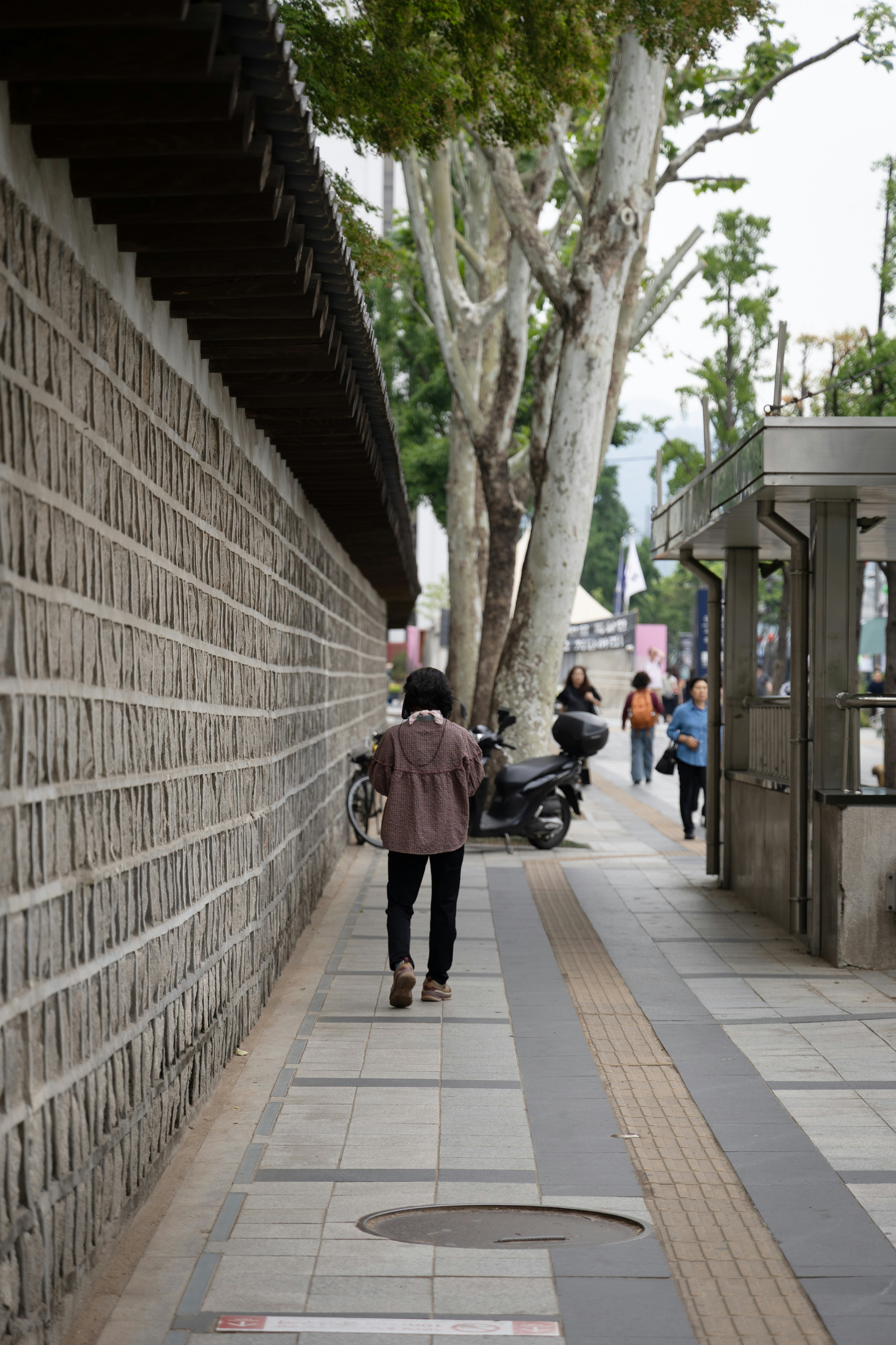 Quiet Street Portrait: A Woman in a Patterned Jacket Walking Past a Historic Wall