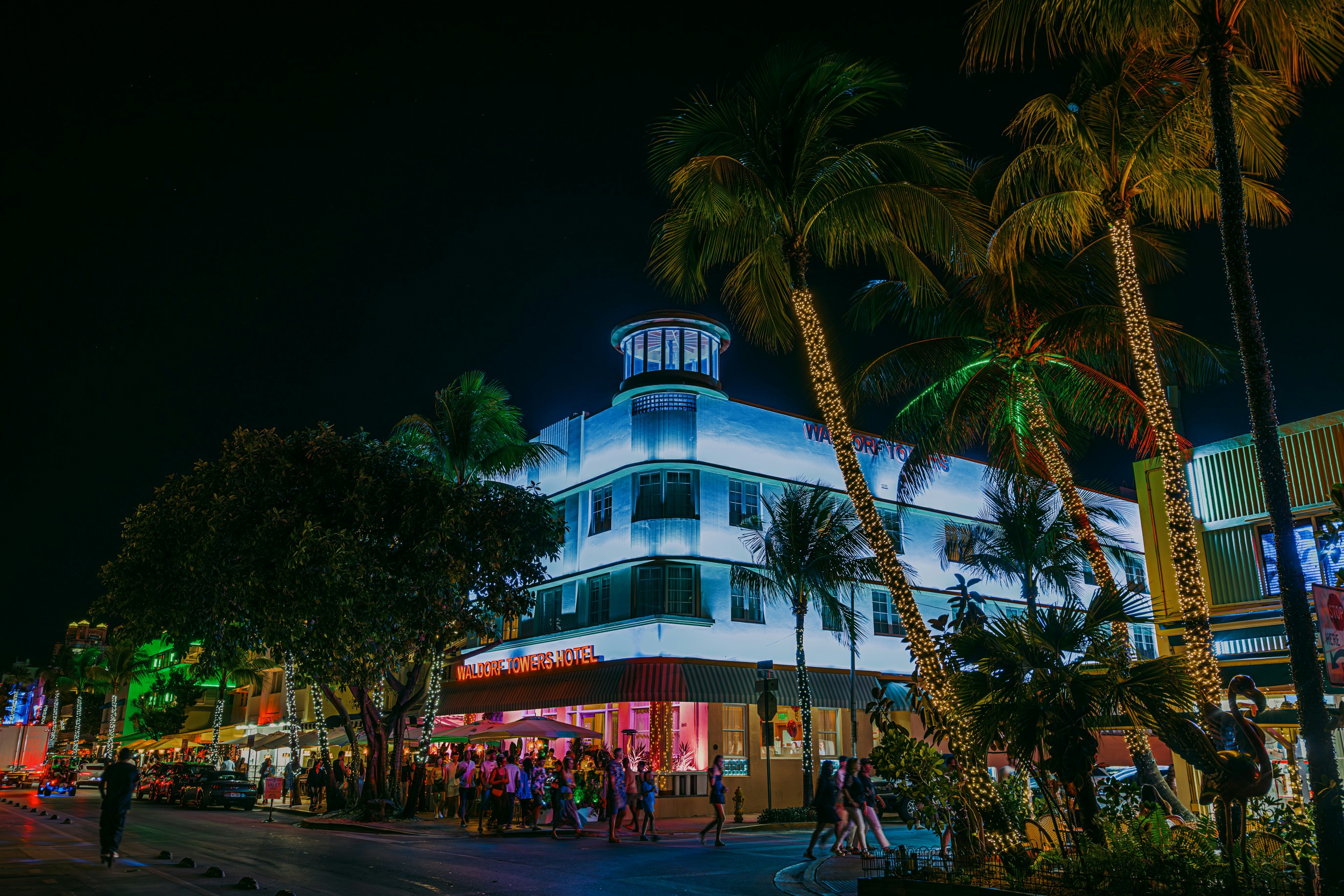 Neon Night on Ocean Drive: Neon-lit Art Deco by Palm Shadows