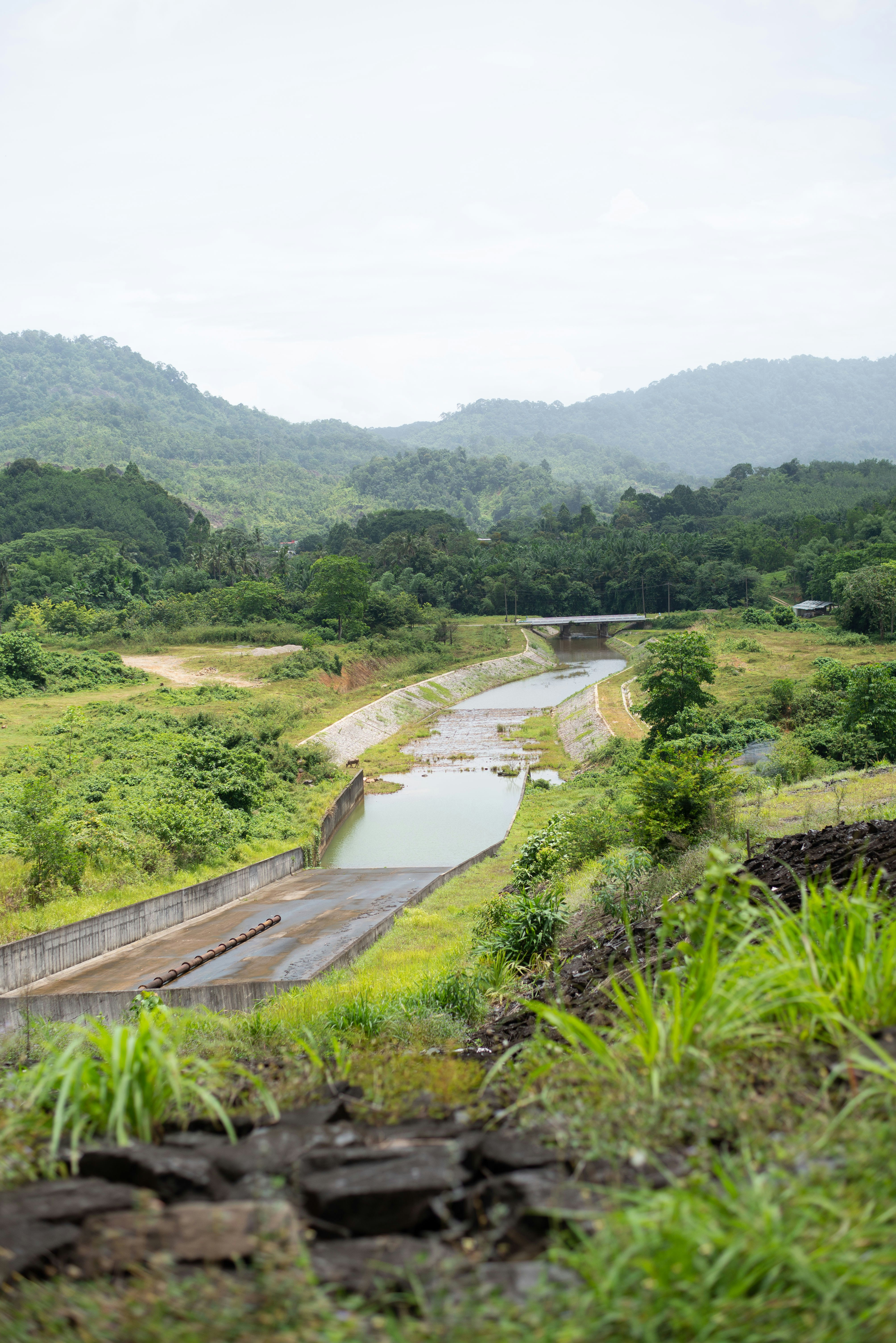 Riverine Corridor: a Concrete Channel Winding Through Green Valleys