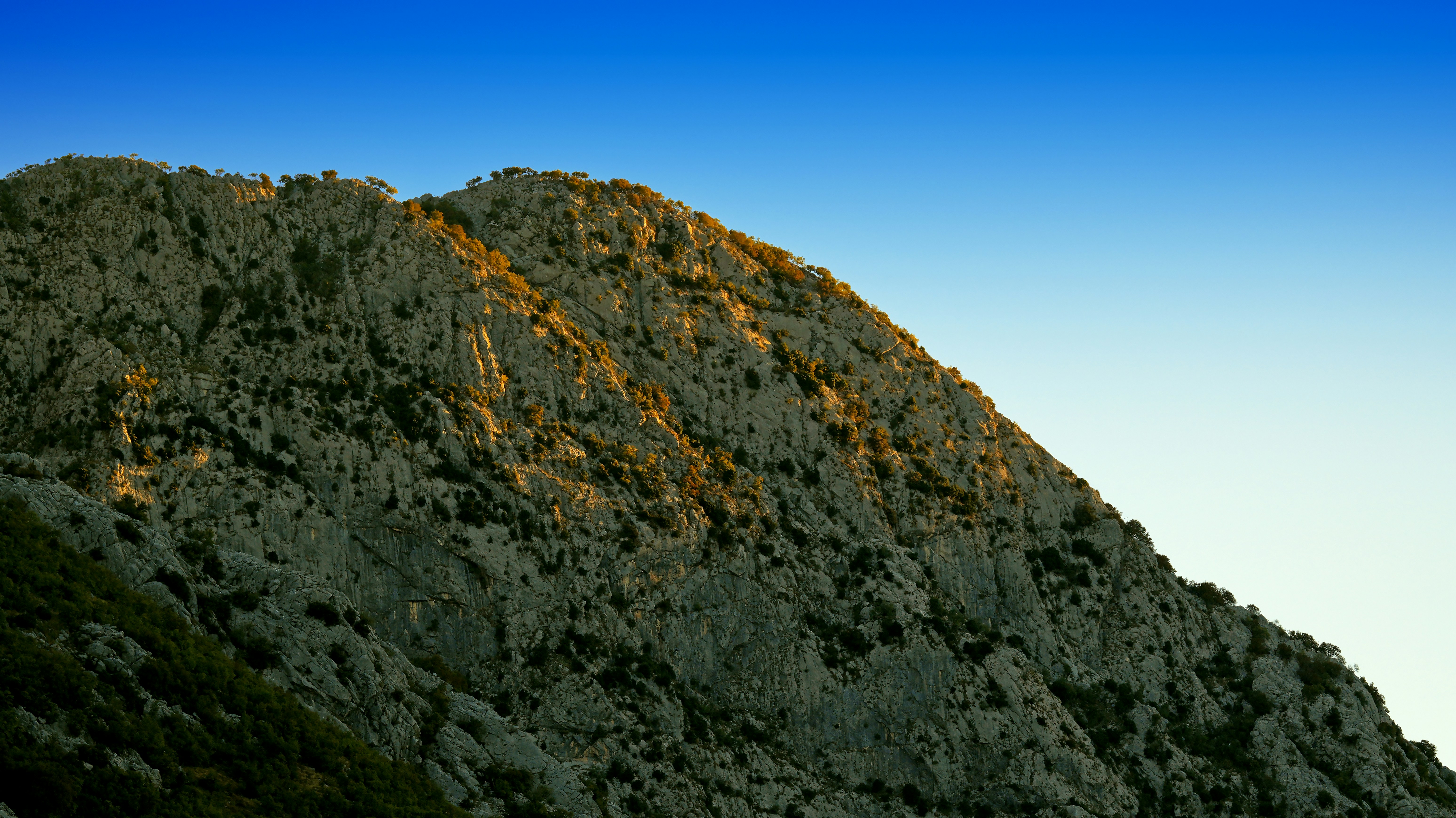 Sunlit Crest: A Quiet Ridge Awash in Alpine Light
