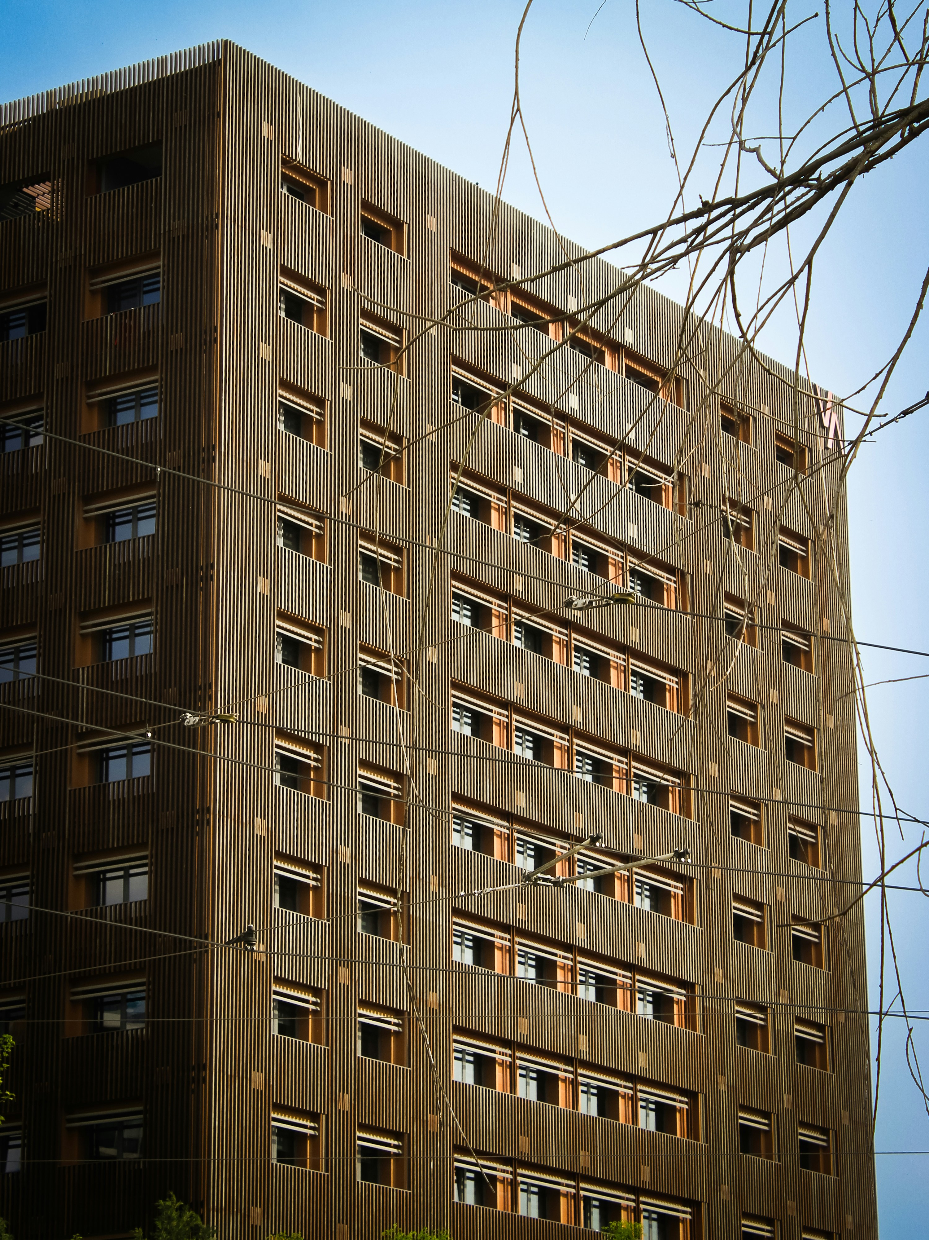 Vertical Corrugation: A Rusted Facade Reaches Toward the Sky