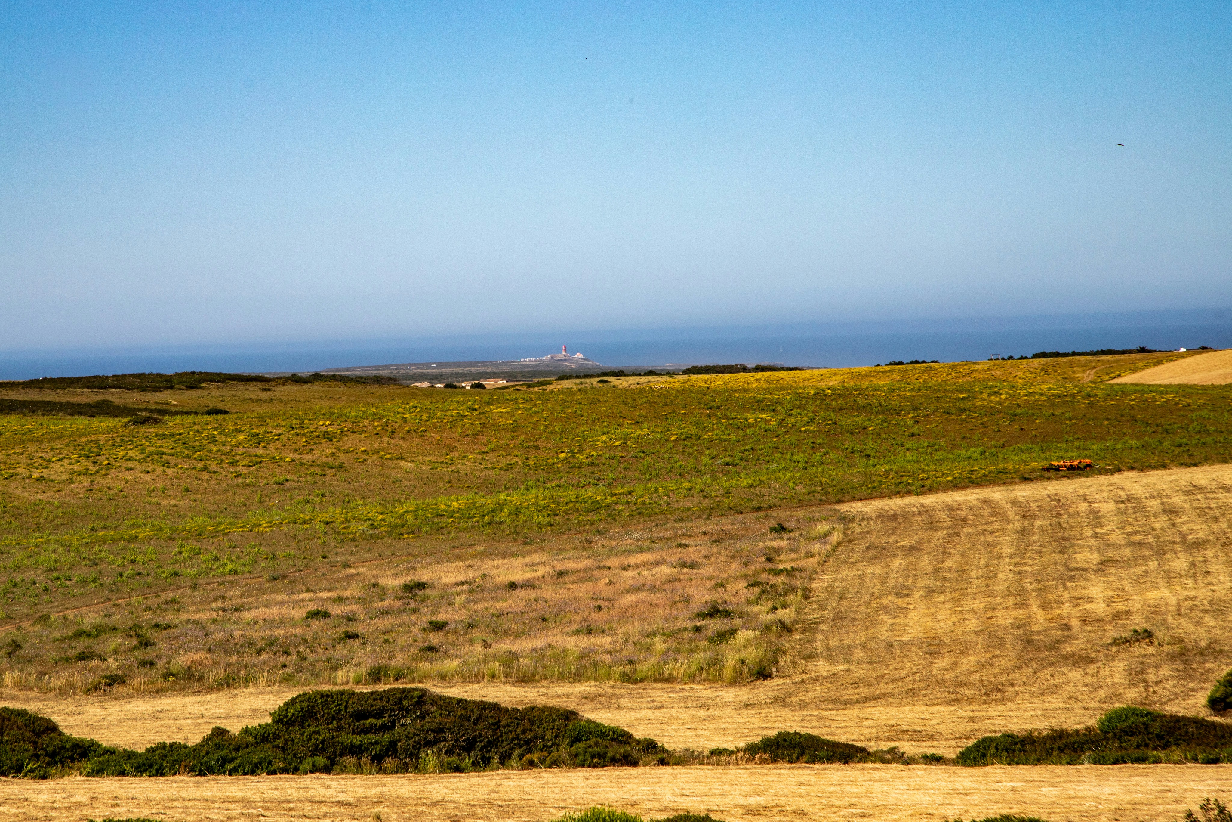 Horizons of Dry Grass and Distant Sea