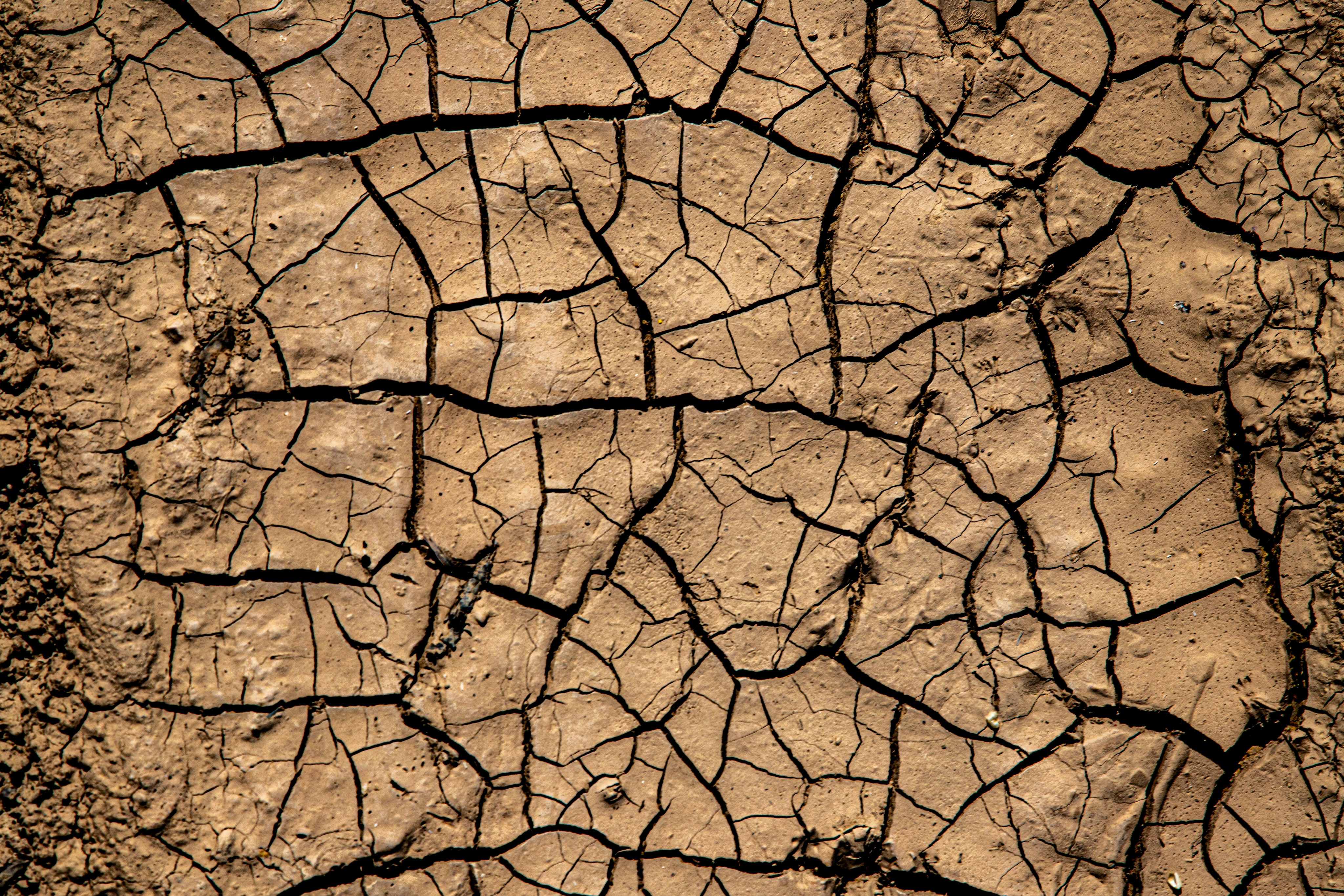 Close-up of parched, mosaic-like soil with deep, dark fissures forming irregular polygons. The texture emphasizes dryness and the arid landscape without any human-made elements.