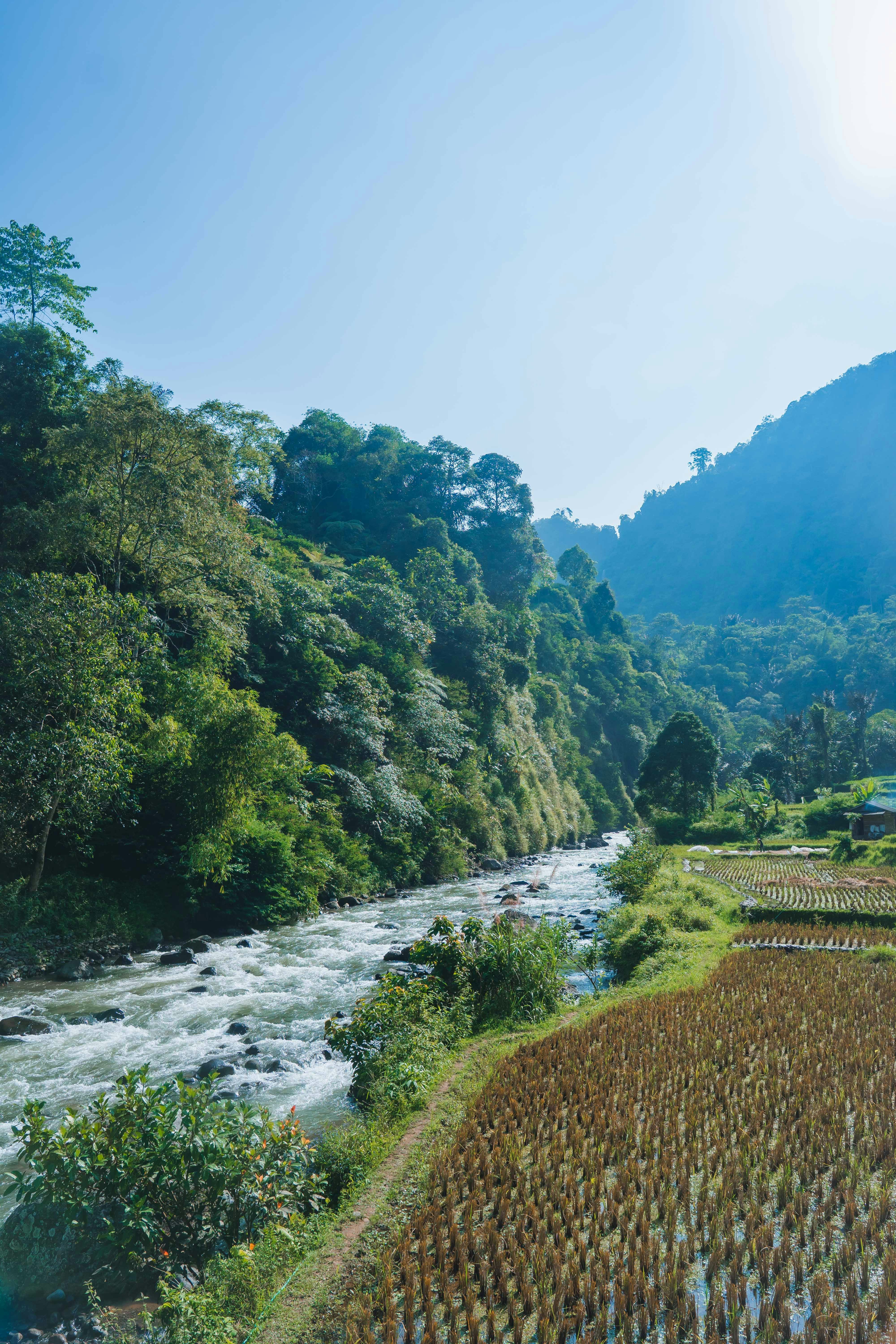 River bend through terraced fields under a blue sky