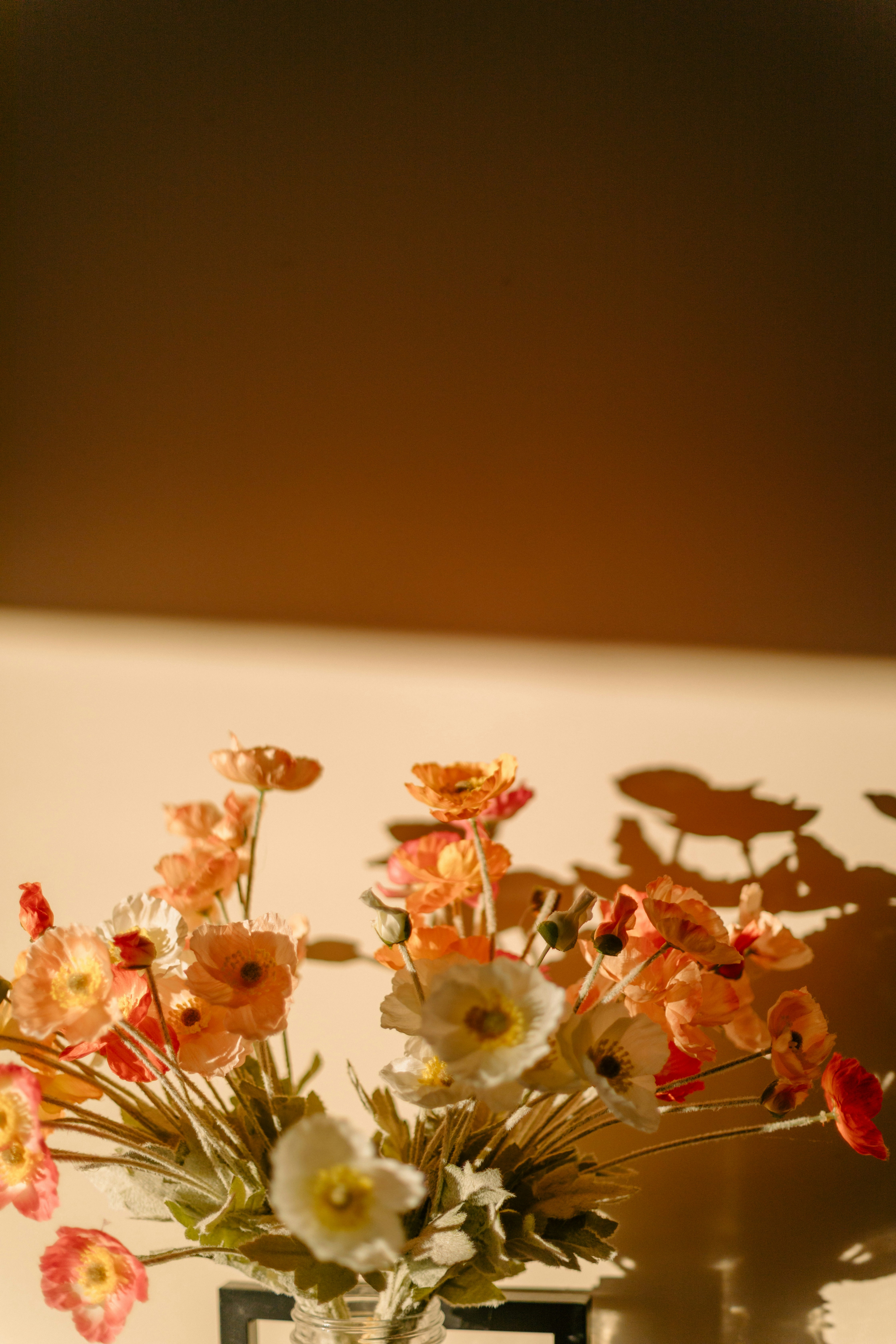 Floral Spotlight: Tender Peony Glow Against Warm Backdrop
