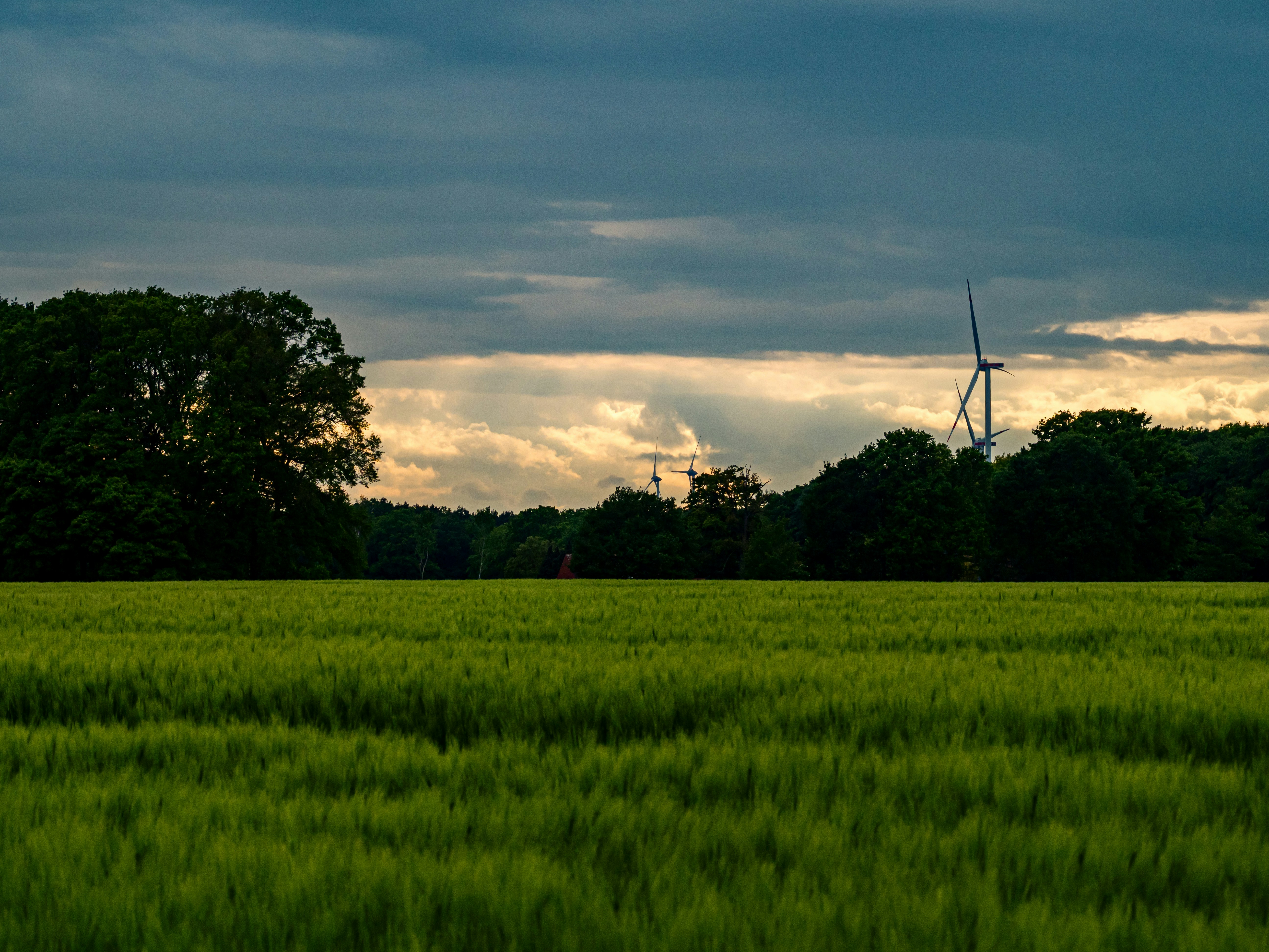 Wind Turbine Silhouette over a Verdant Field at Dusk
