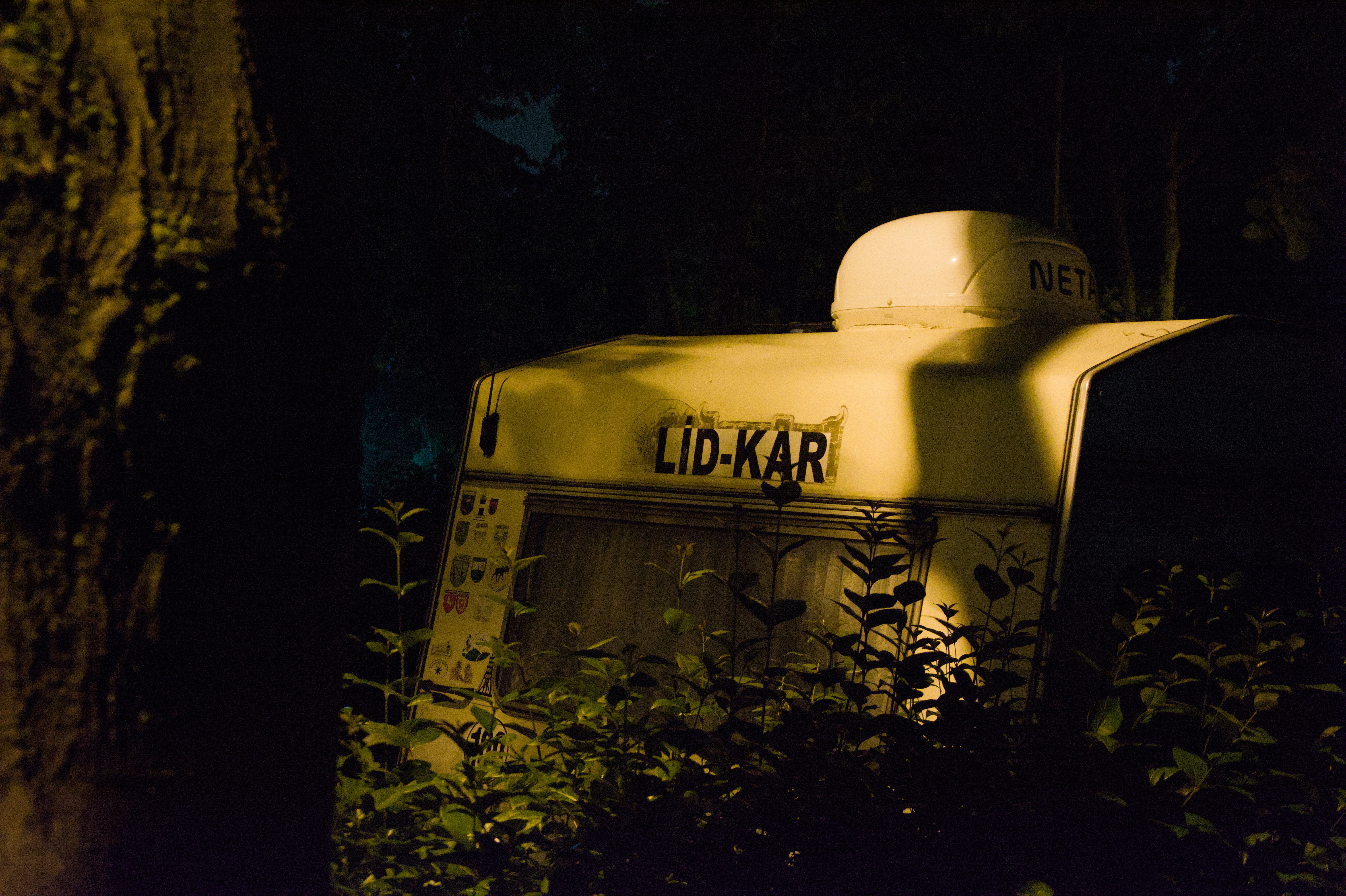 Night Bus Hidden Among the Foliage