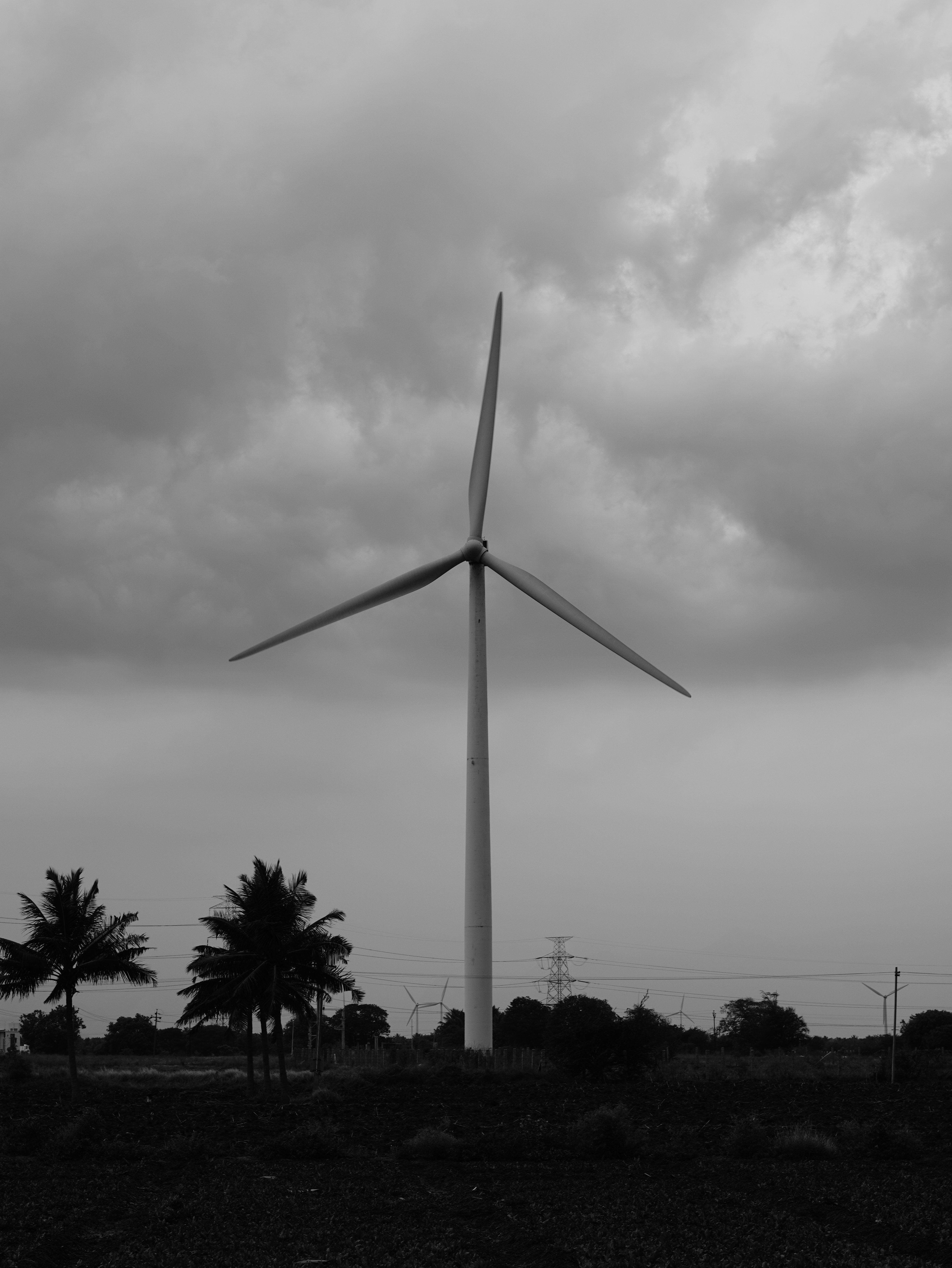 Windward Sentinel: A Lone Turbine on a Quiet Horizon