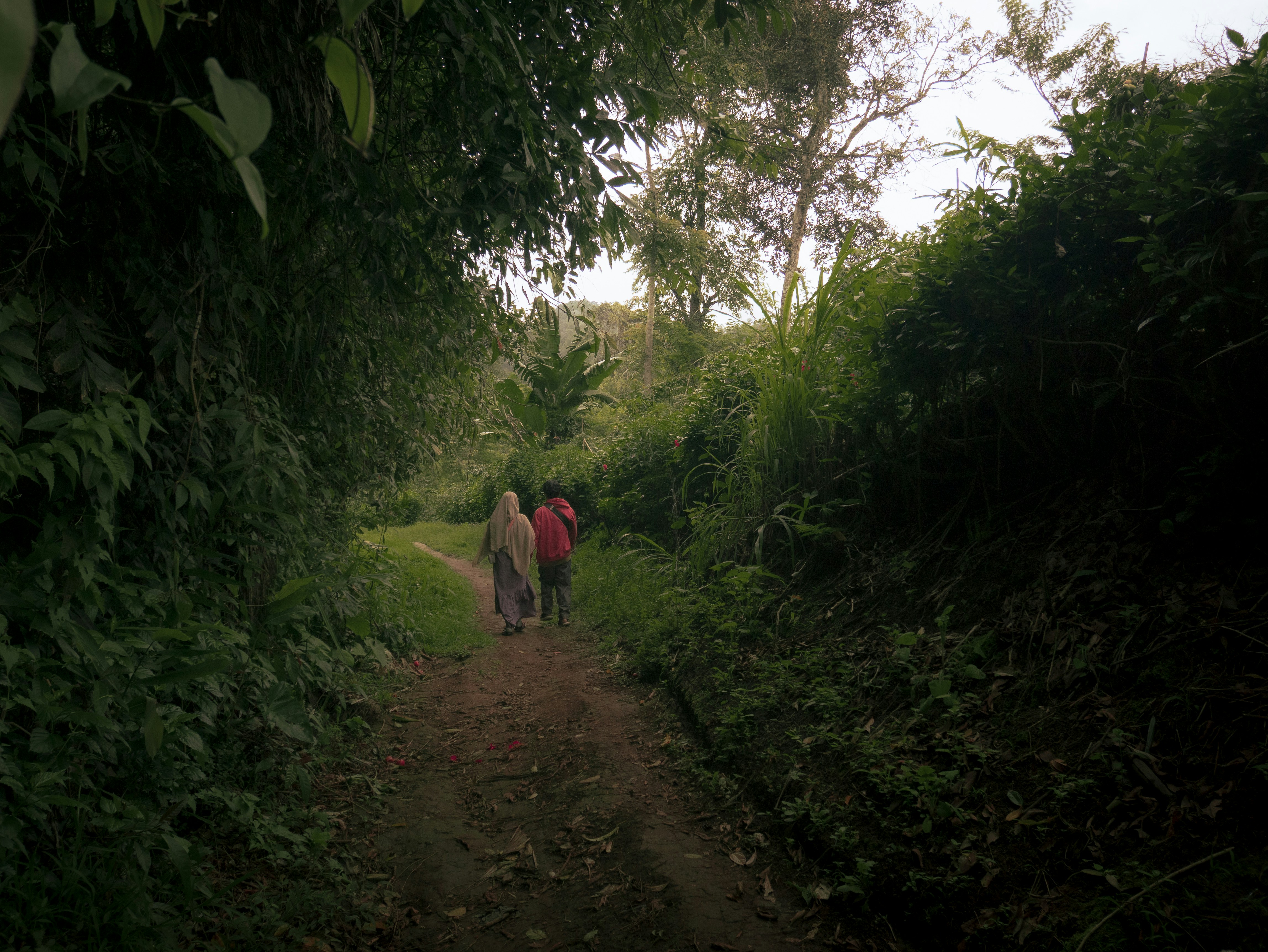 Two Wanderers on a Quiet Forest Path