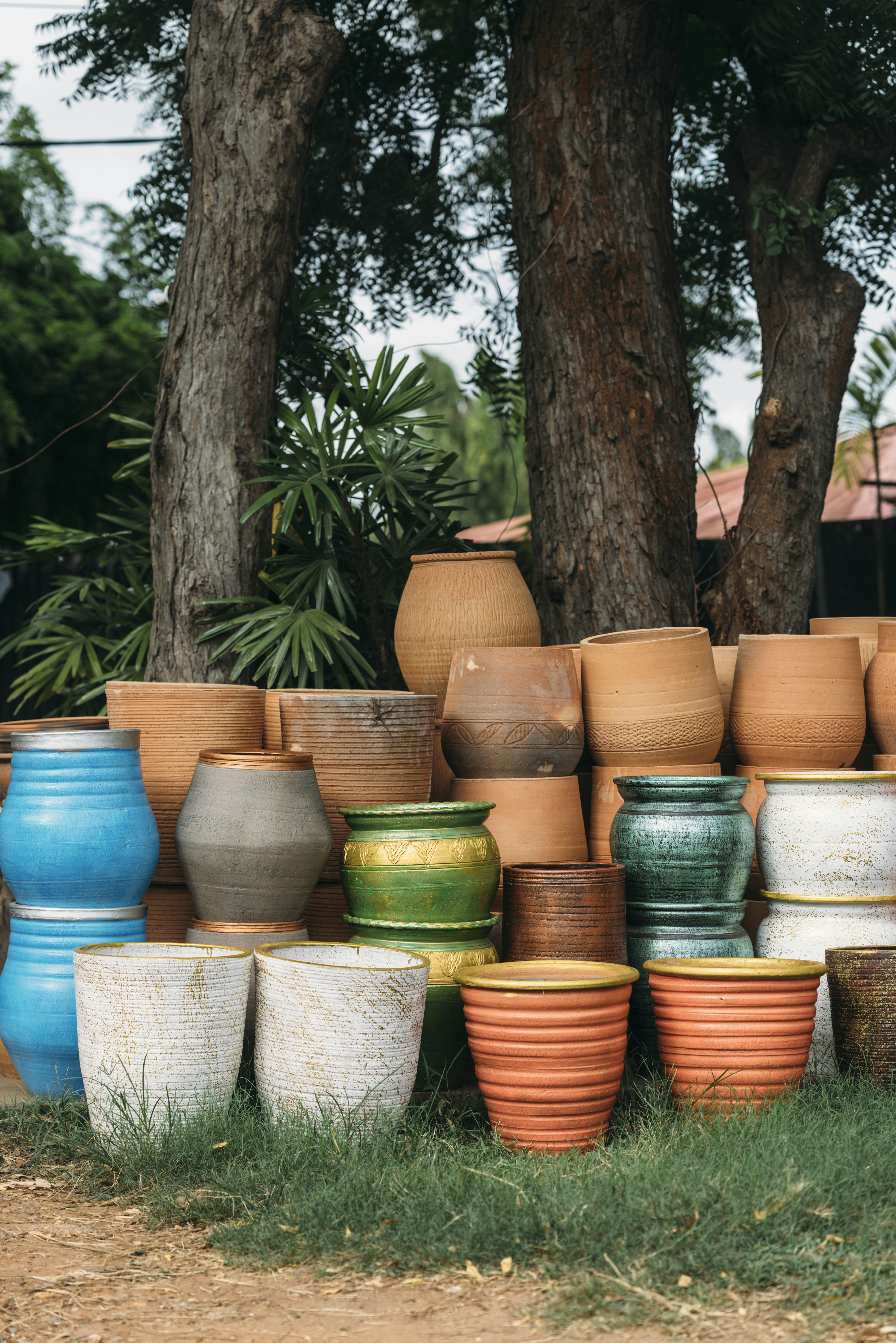 Terracotta Orchard: A Row of Weathered Pots Beneath Weeping Trees