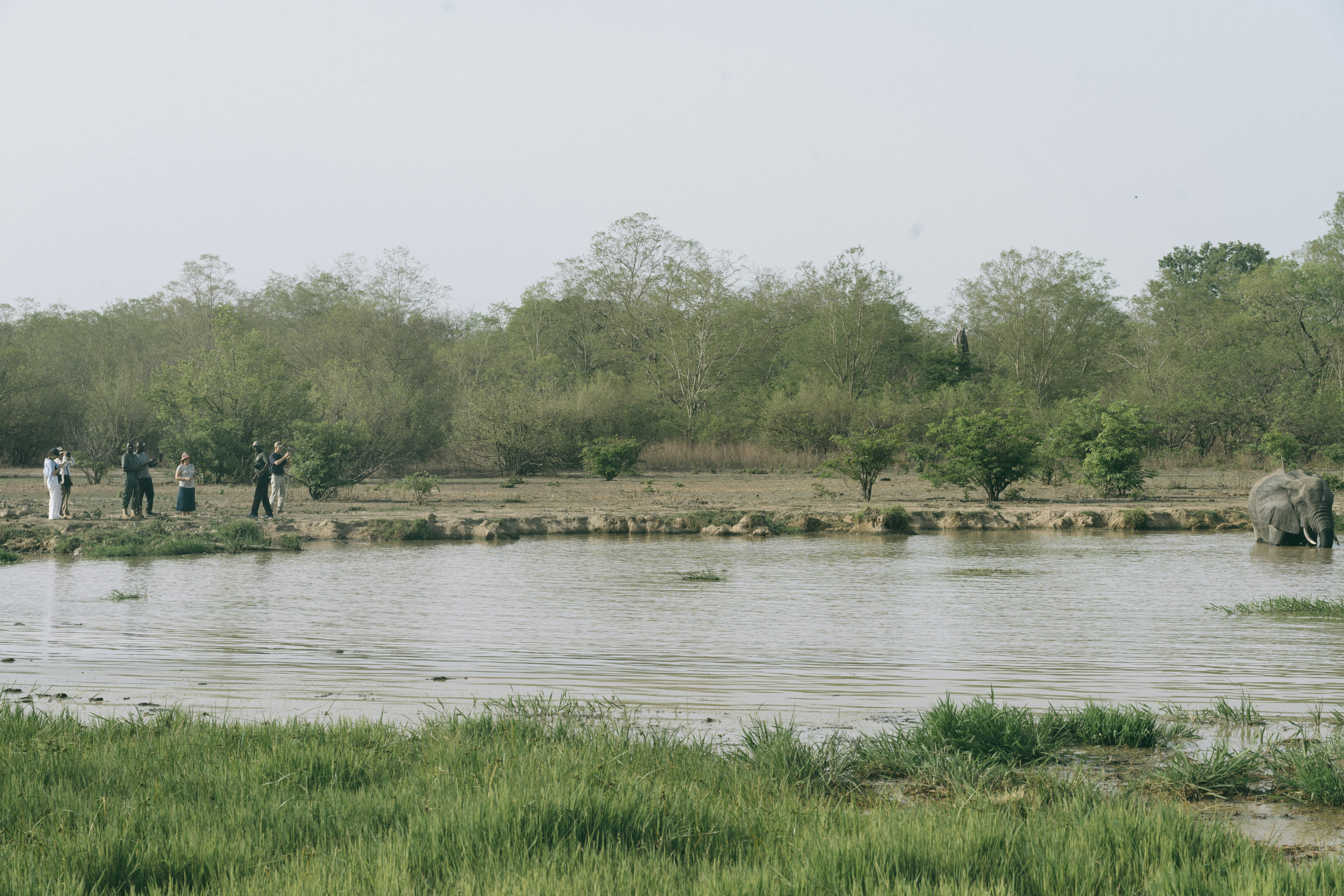 Heron’s Edge: A Quiet Riverside Portrait