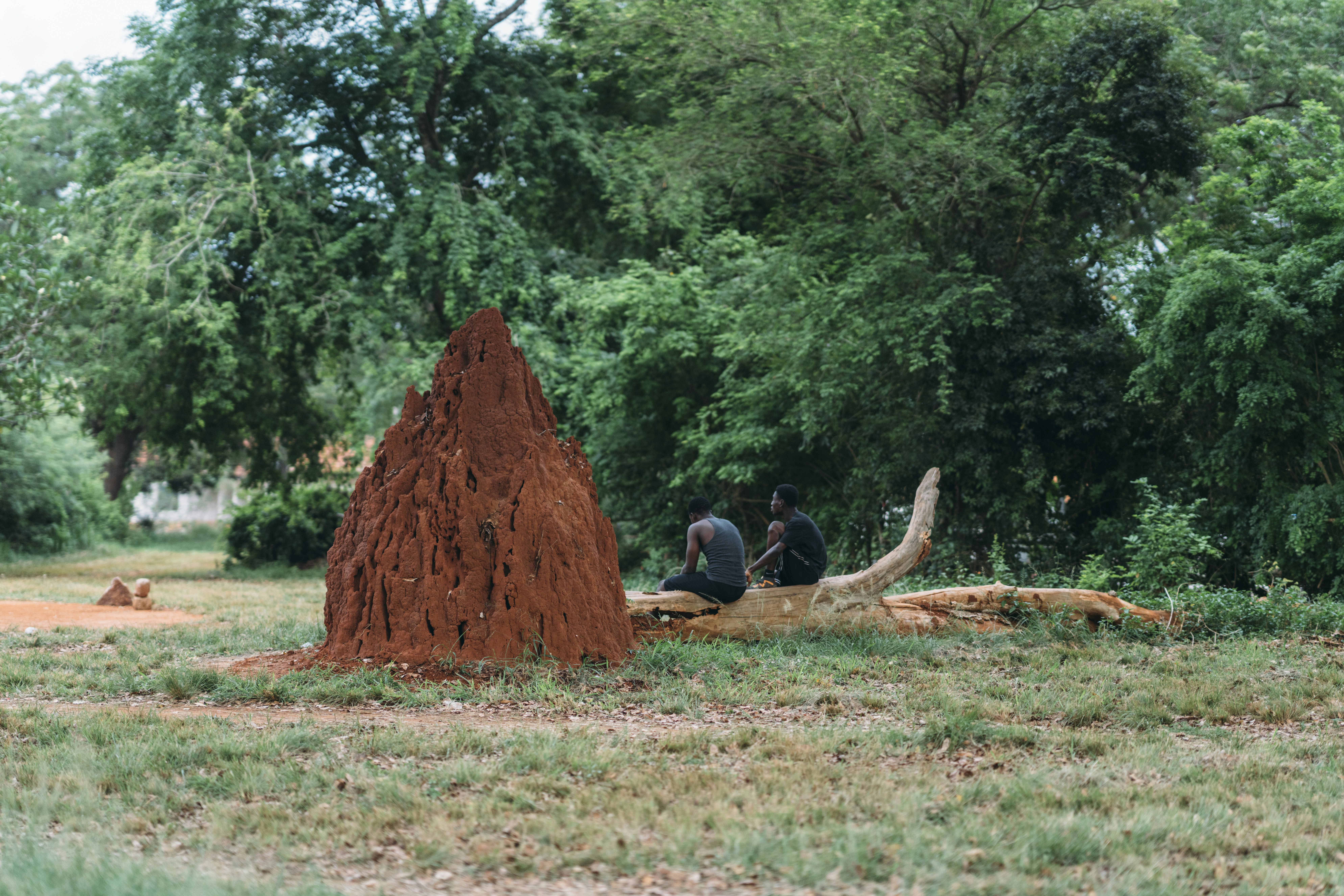 Earthen Spire and Quiet Camp of the Riverbank