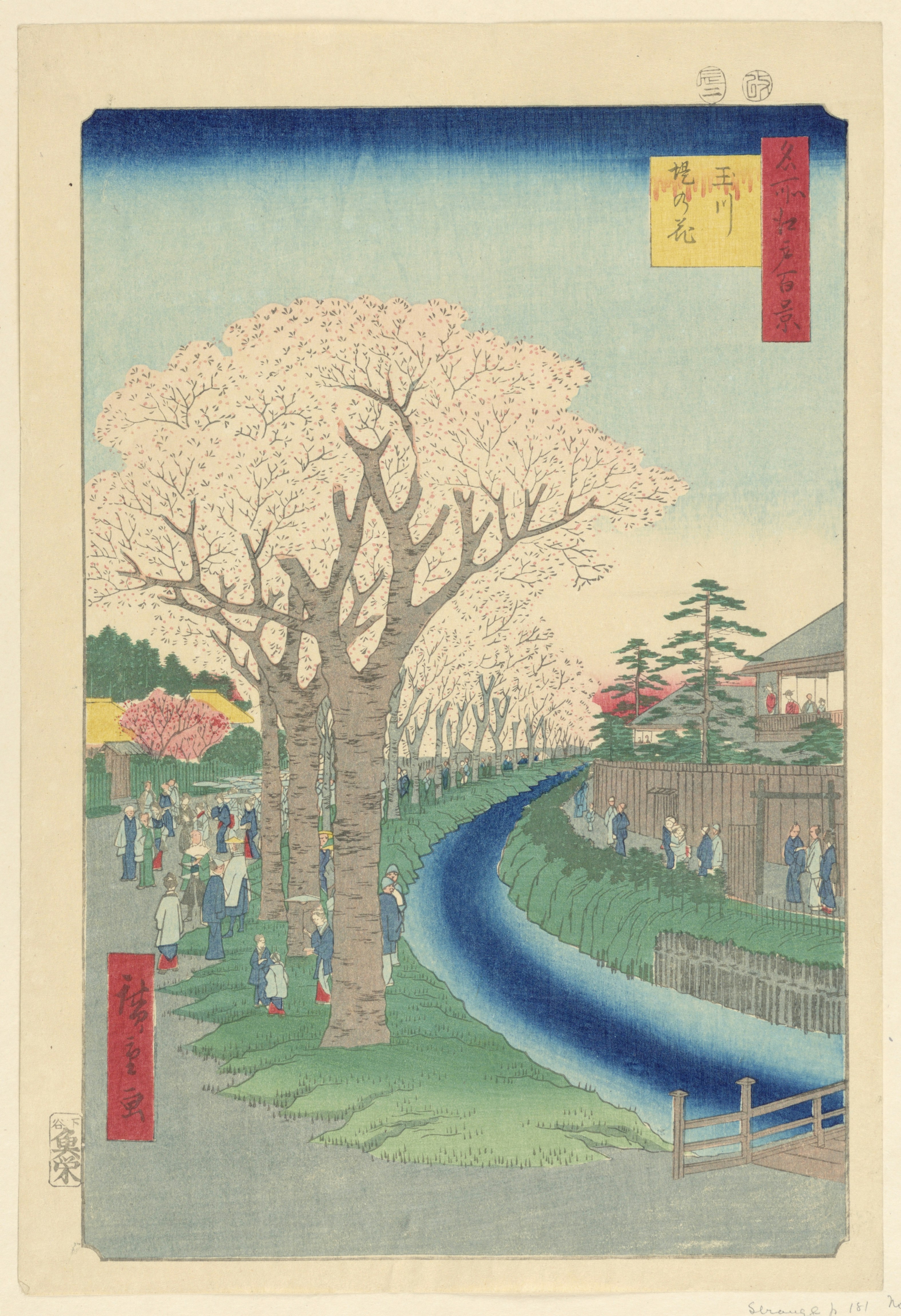 Cherry Boulevard by the River