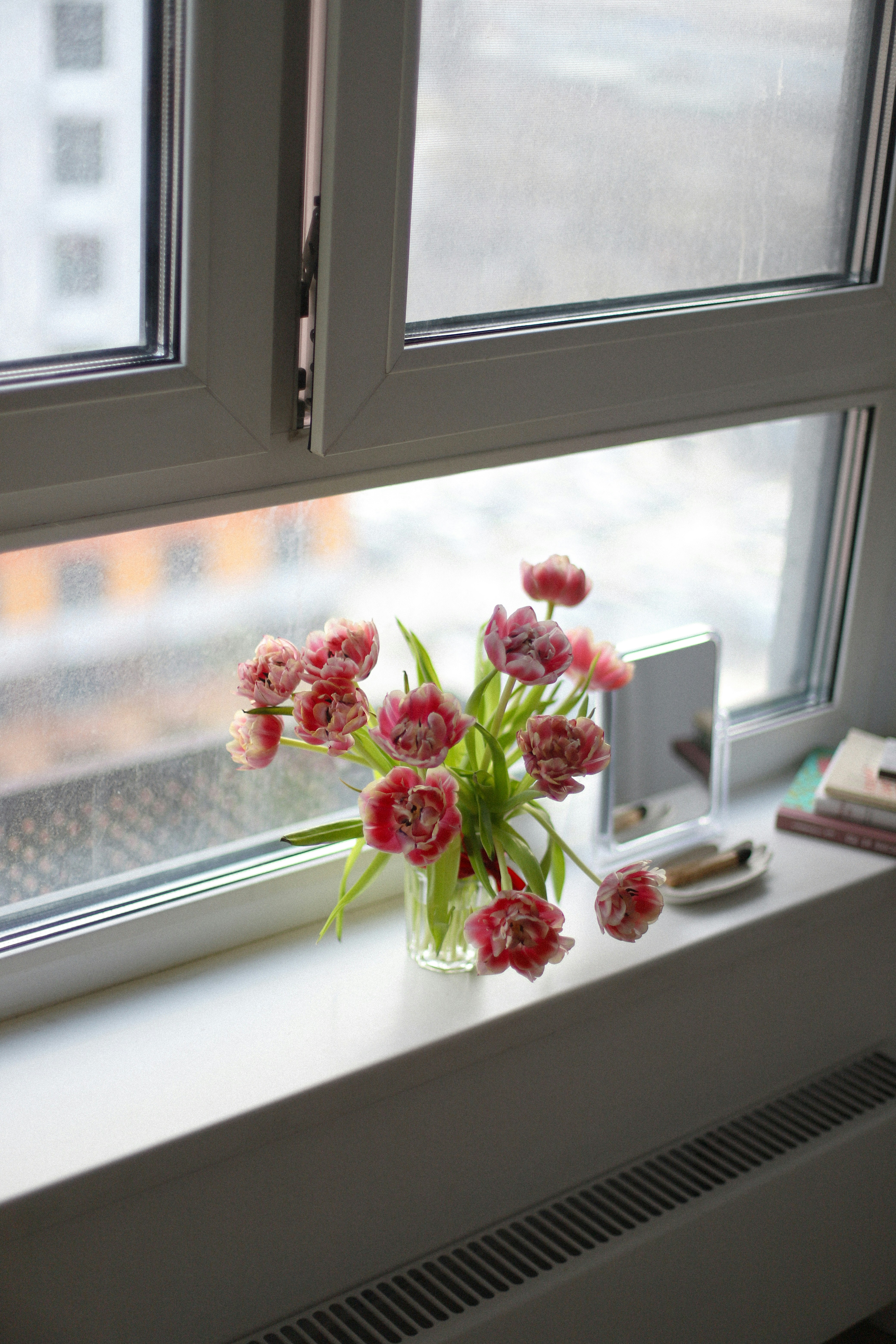 Pink Tulips on a Windowsill Symphony