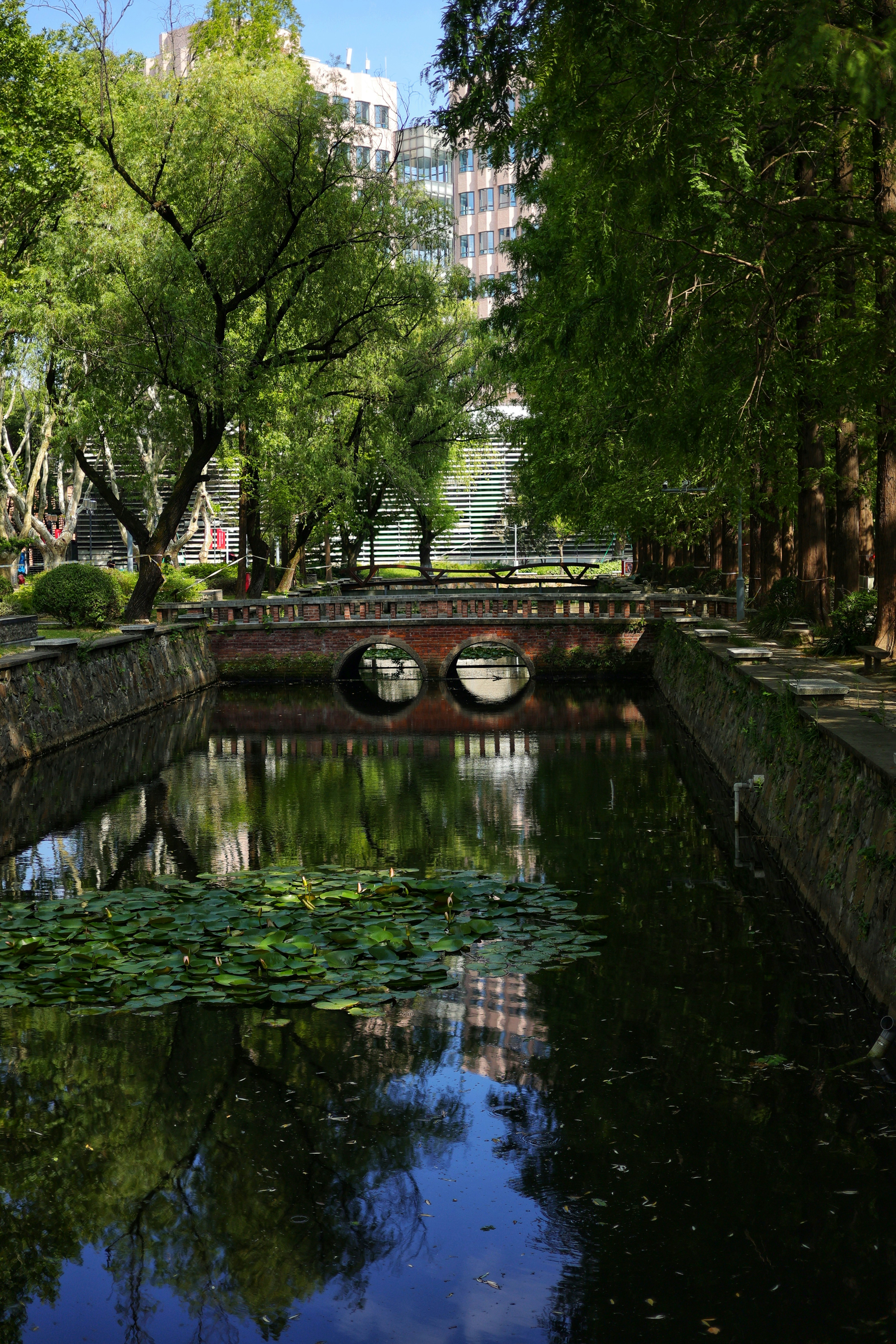 Bridge of Echoes: A City Canal Framed by Green Canopies