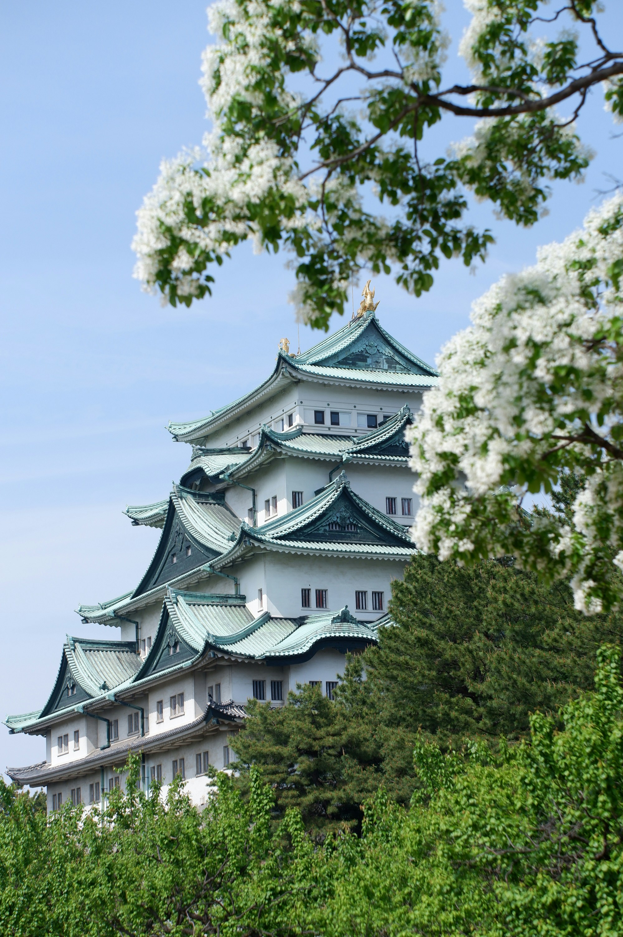 Emerald-Topped Castle Amid Spring Blossoms