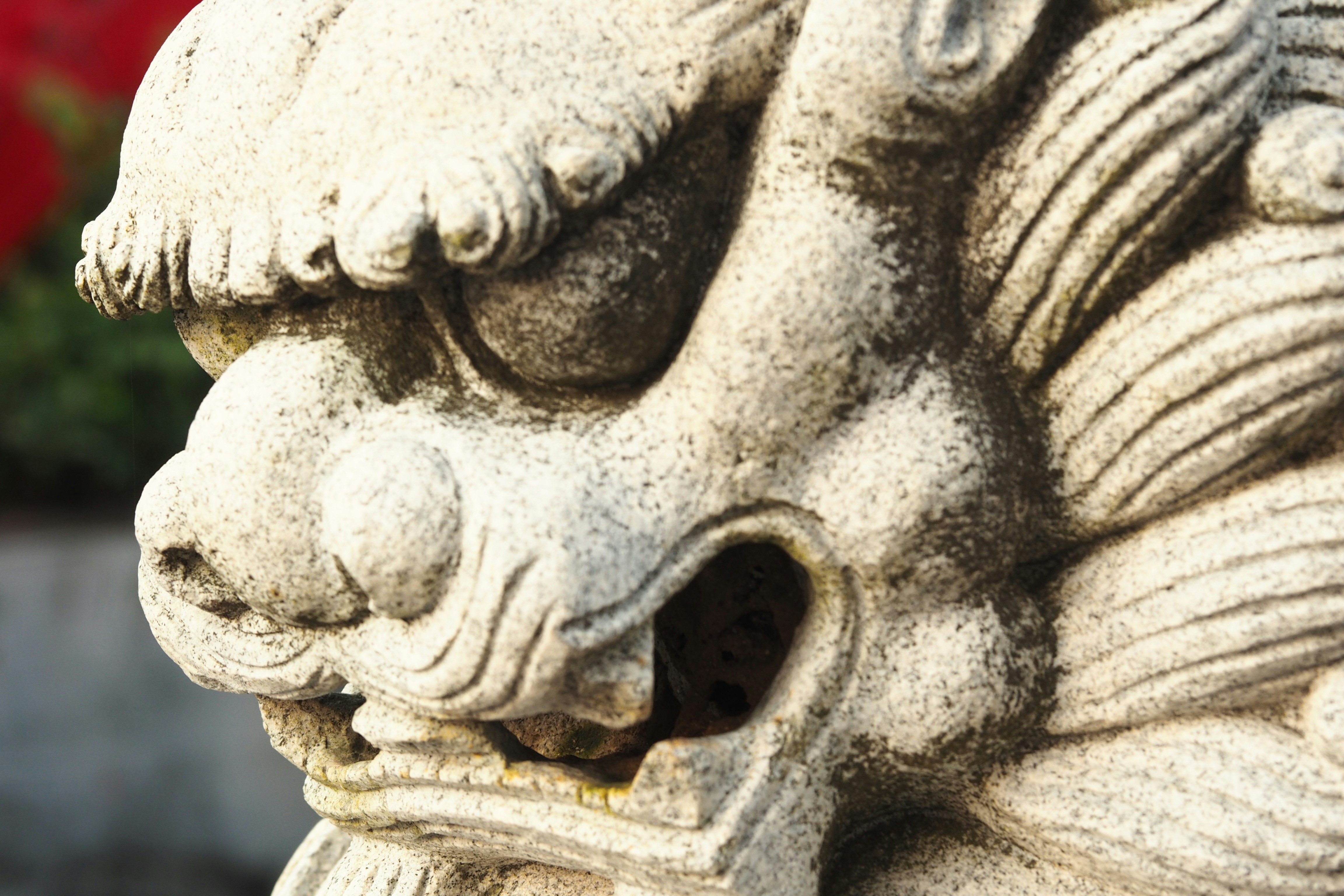 Stone Dragon Gaze: Close-Up of a Weathered Facade