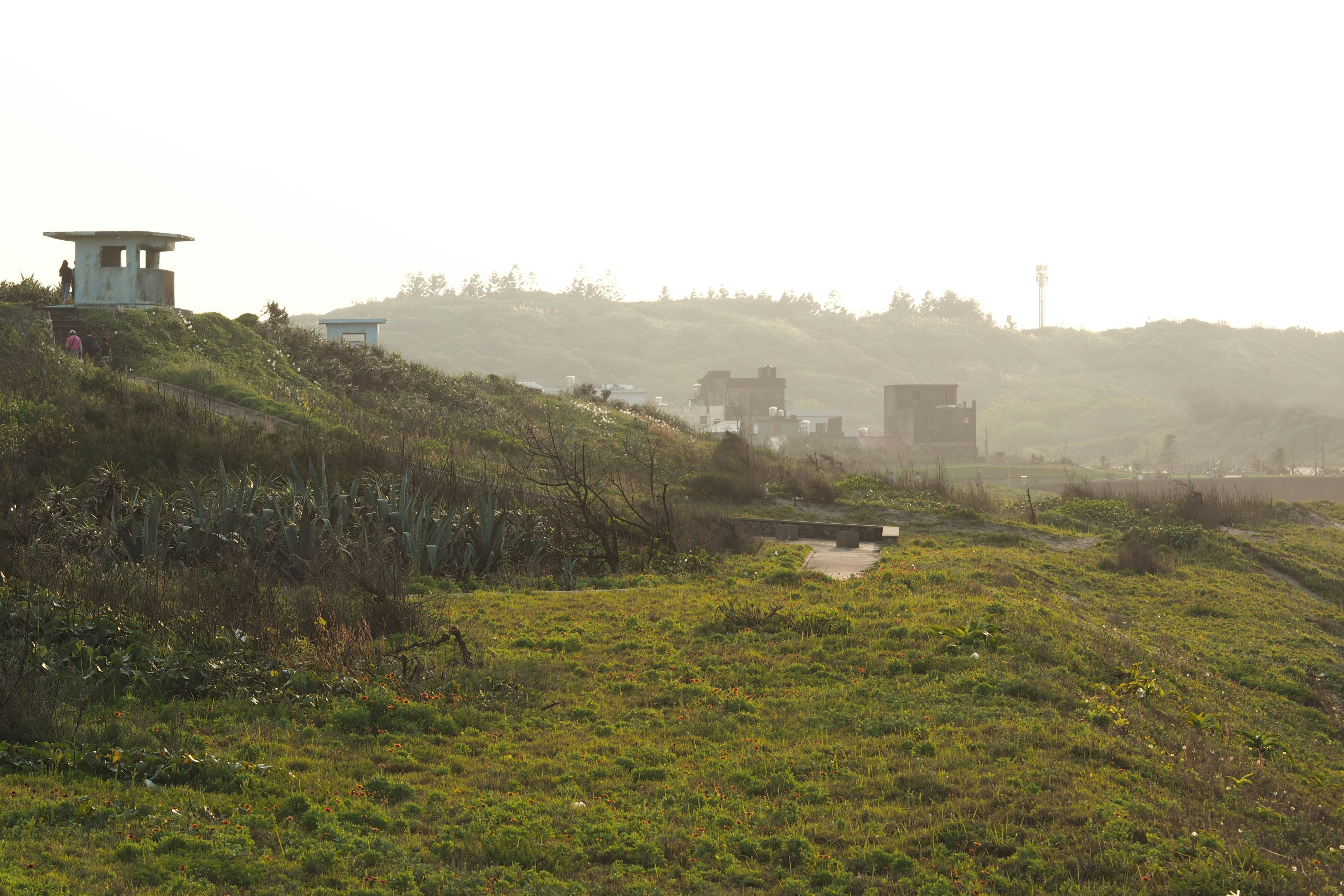 Horizon Watch: A Quiet Sentinel Over a Winding Coastal Plain