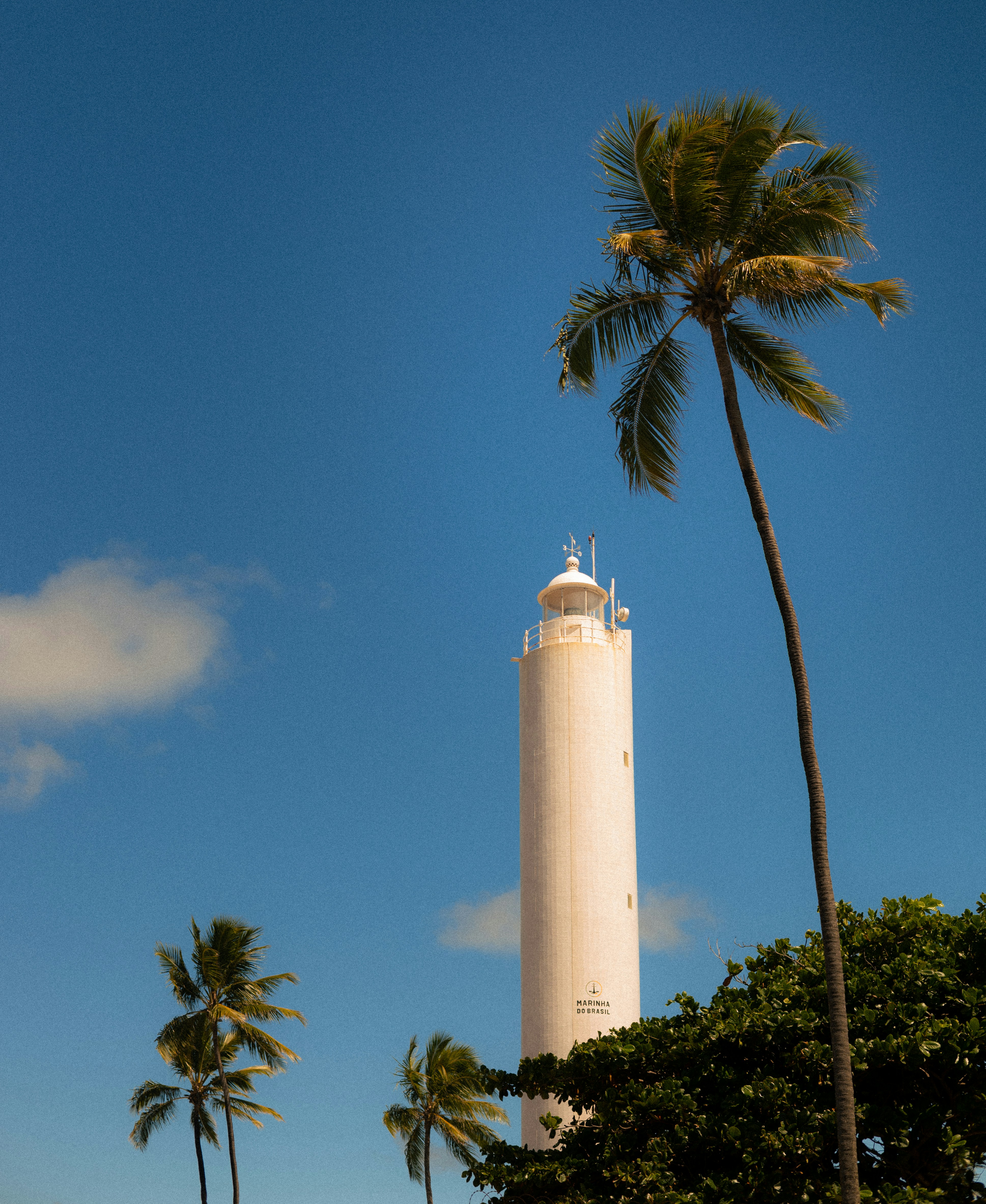 Palm Shadow and the Lighthouse Tower