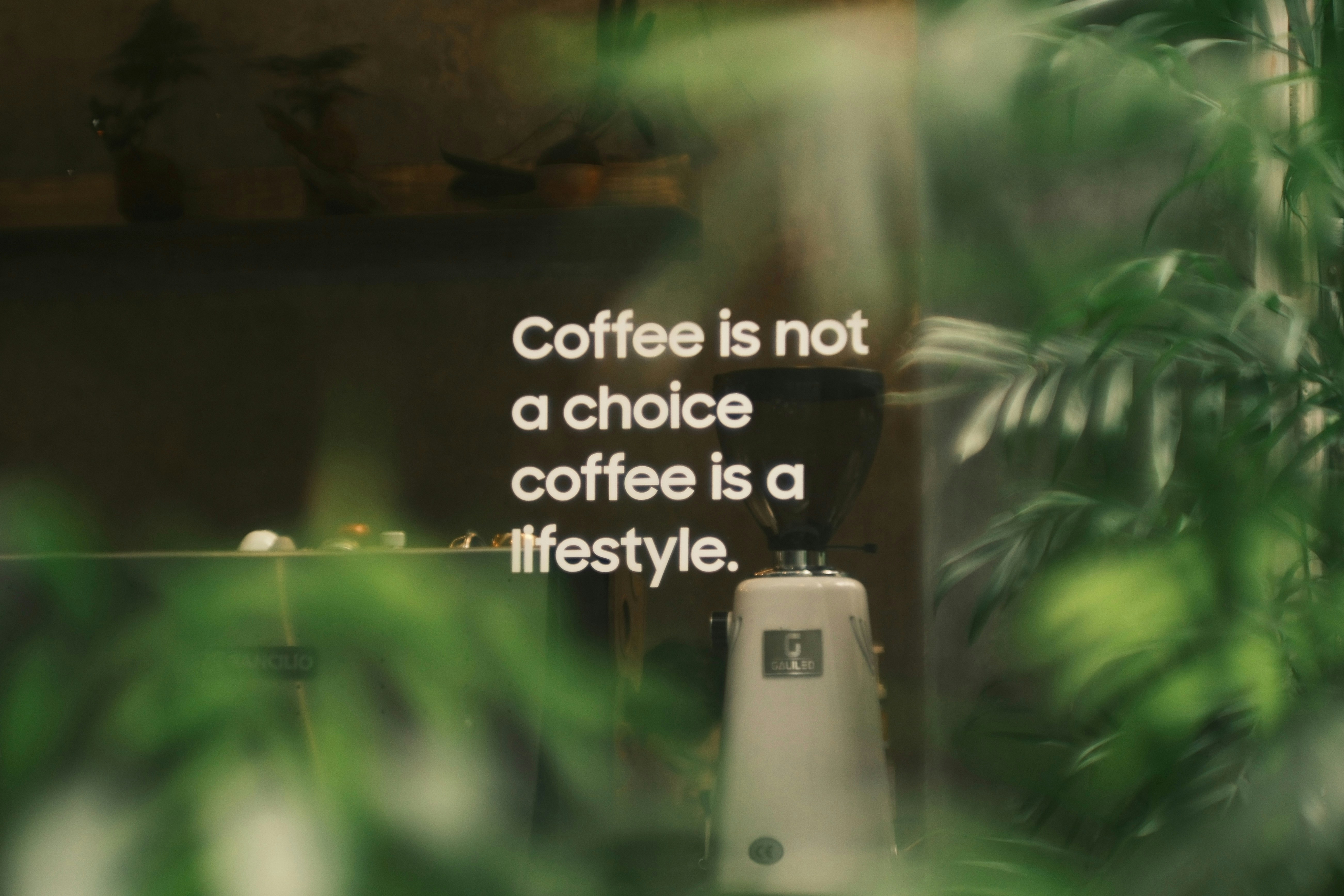 Whisper of Coffee: A Quiet Café Message Through Glass