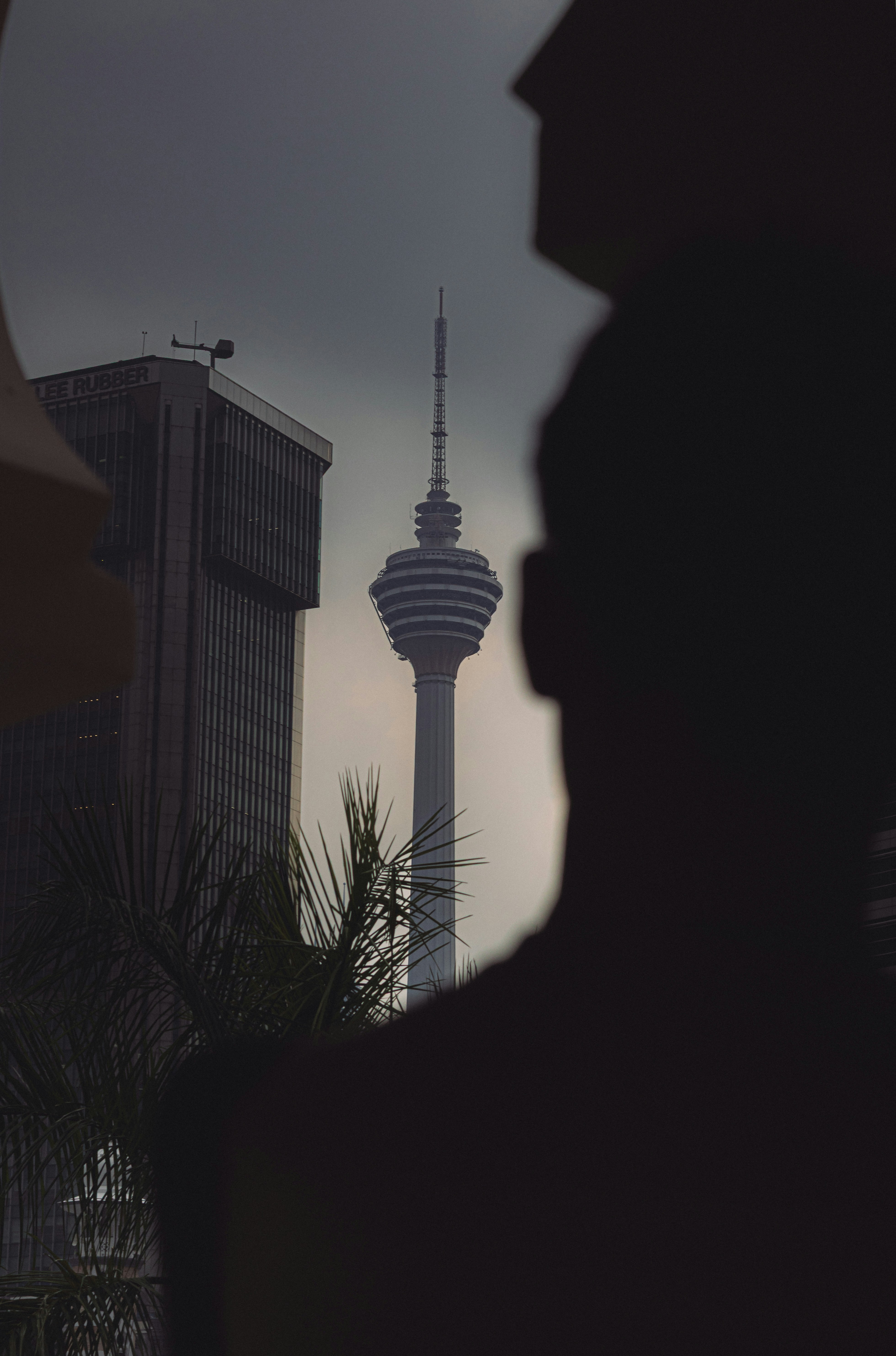 Tower of contrast: Kuala Lumpur skyline framed by silhouette