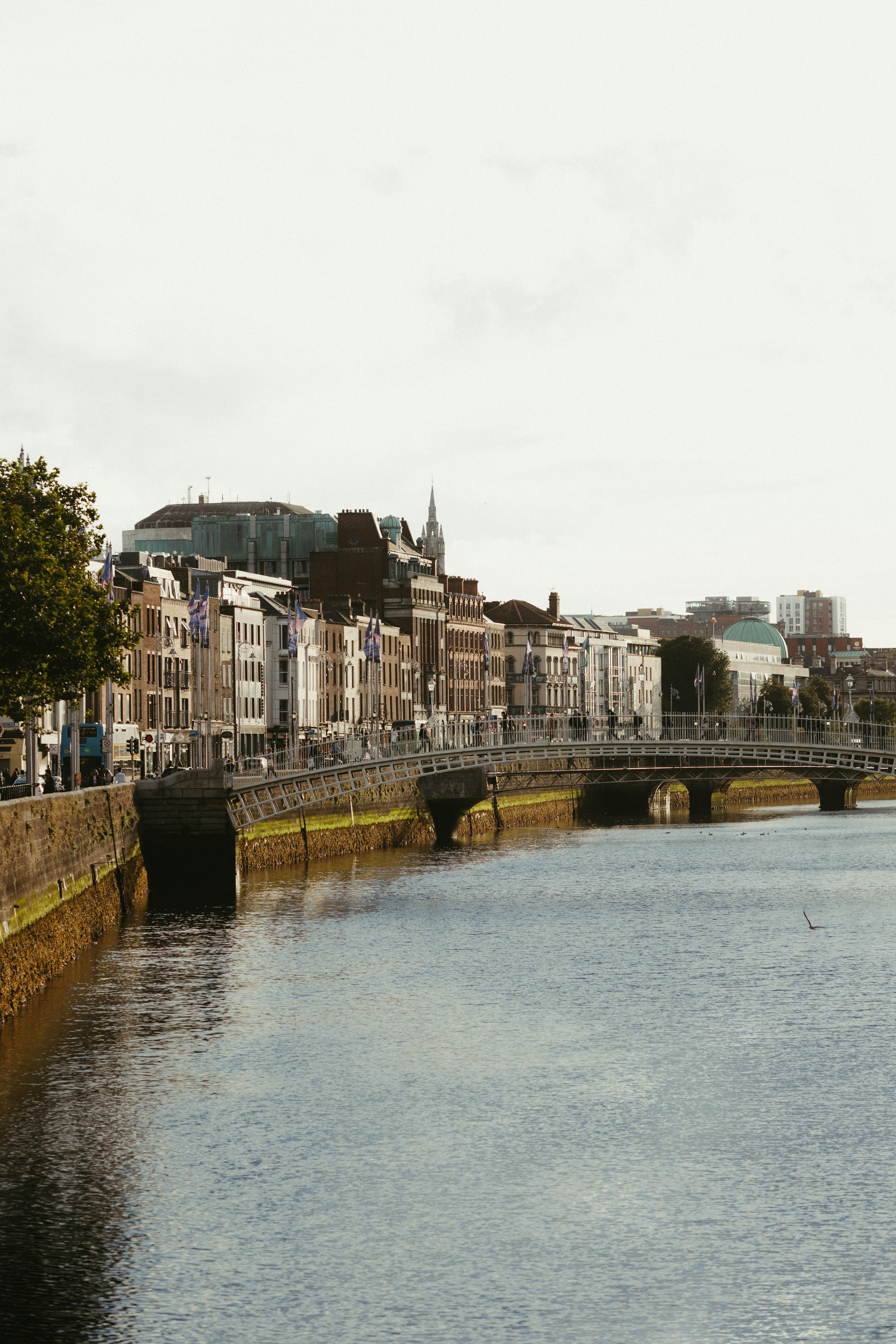 City Along the Banks: A Quiet Riverwalk Under Soft Light