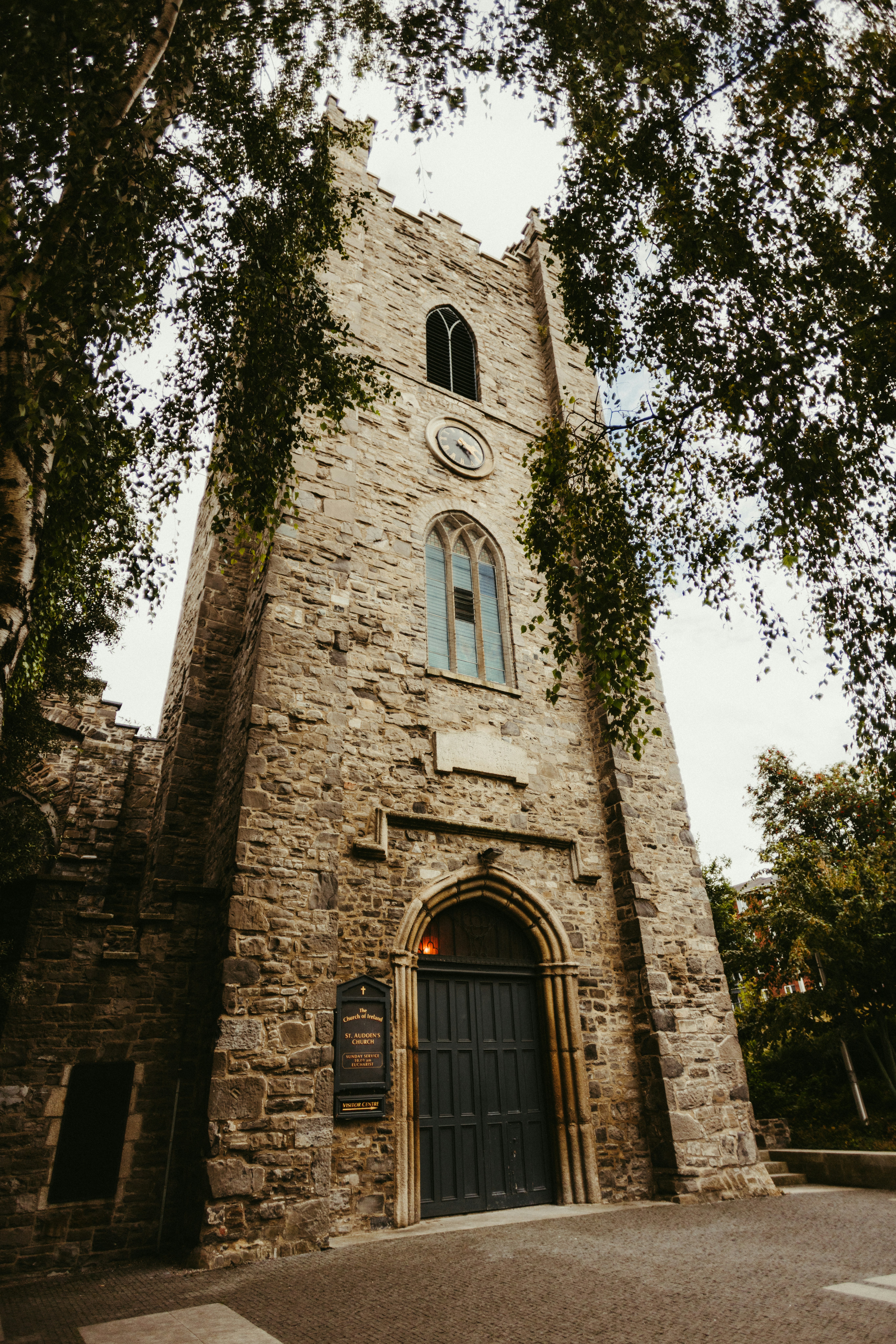 Gothic Stone Tower Awaits Beneath Veils of Green