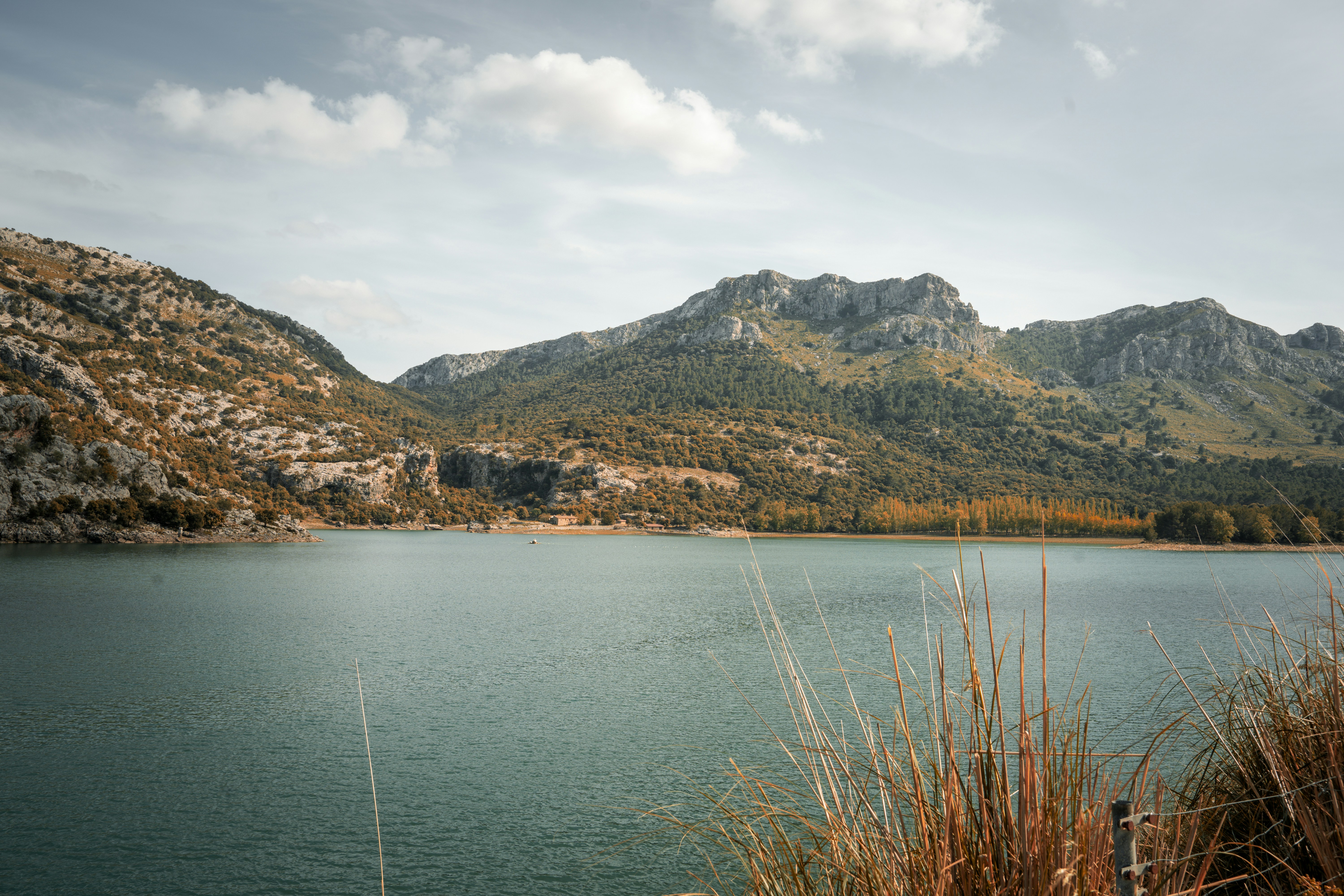 Lakeside Ridge: A Quiet Horizon Over Quiet Waters