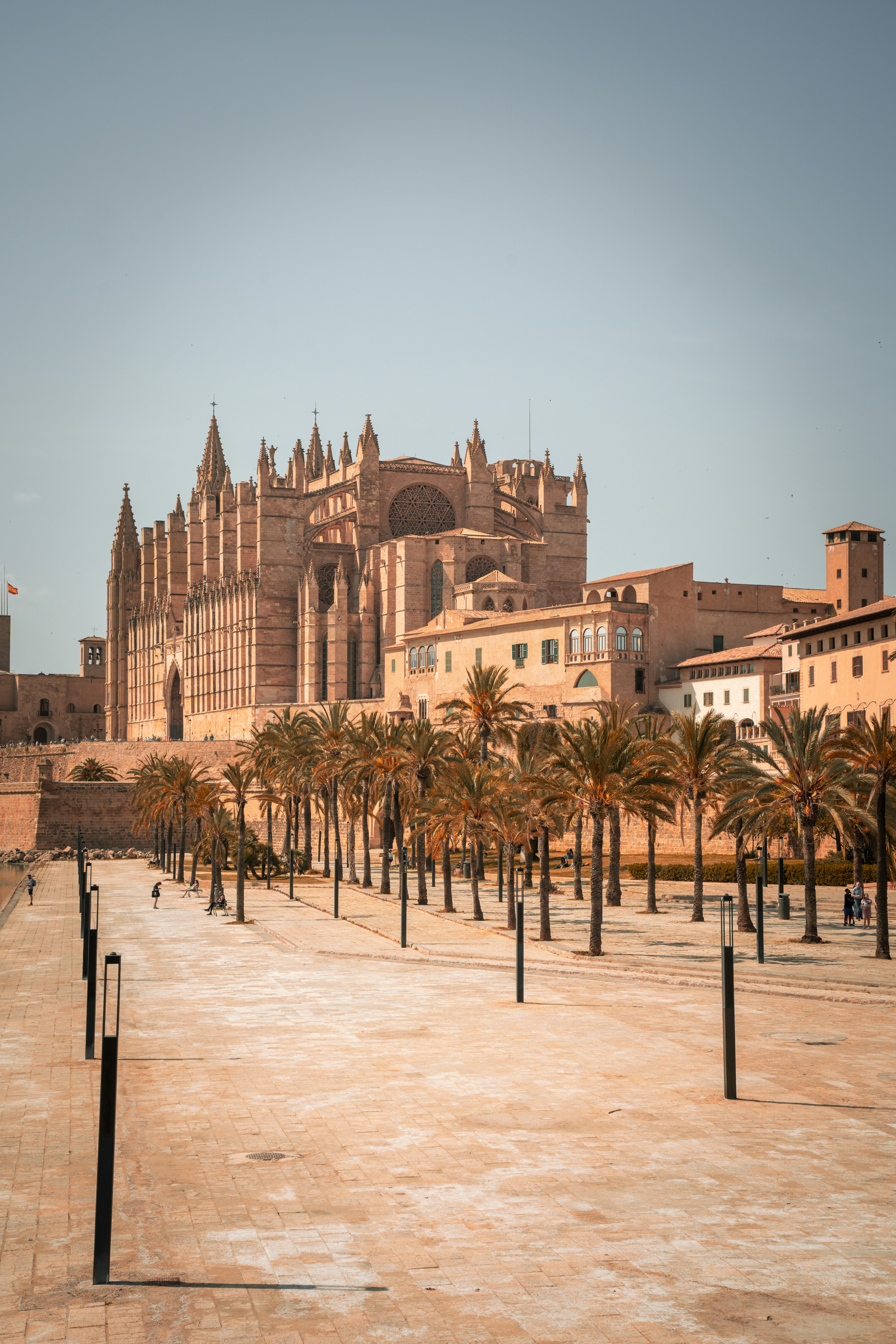 Cathedral Bastion: A Sunlit Plaza with Palm-lined Approach