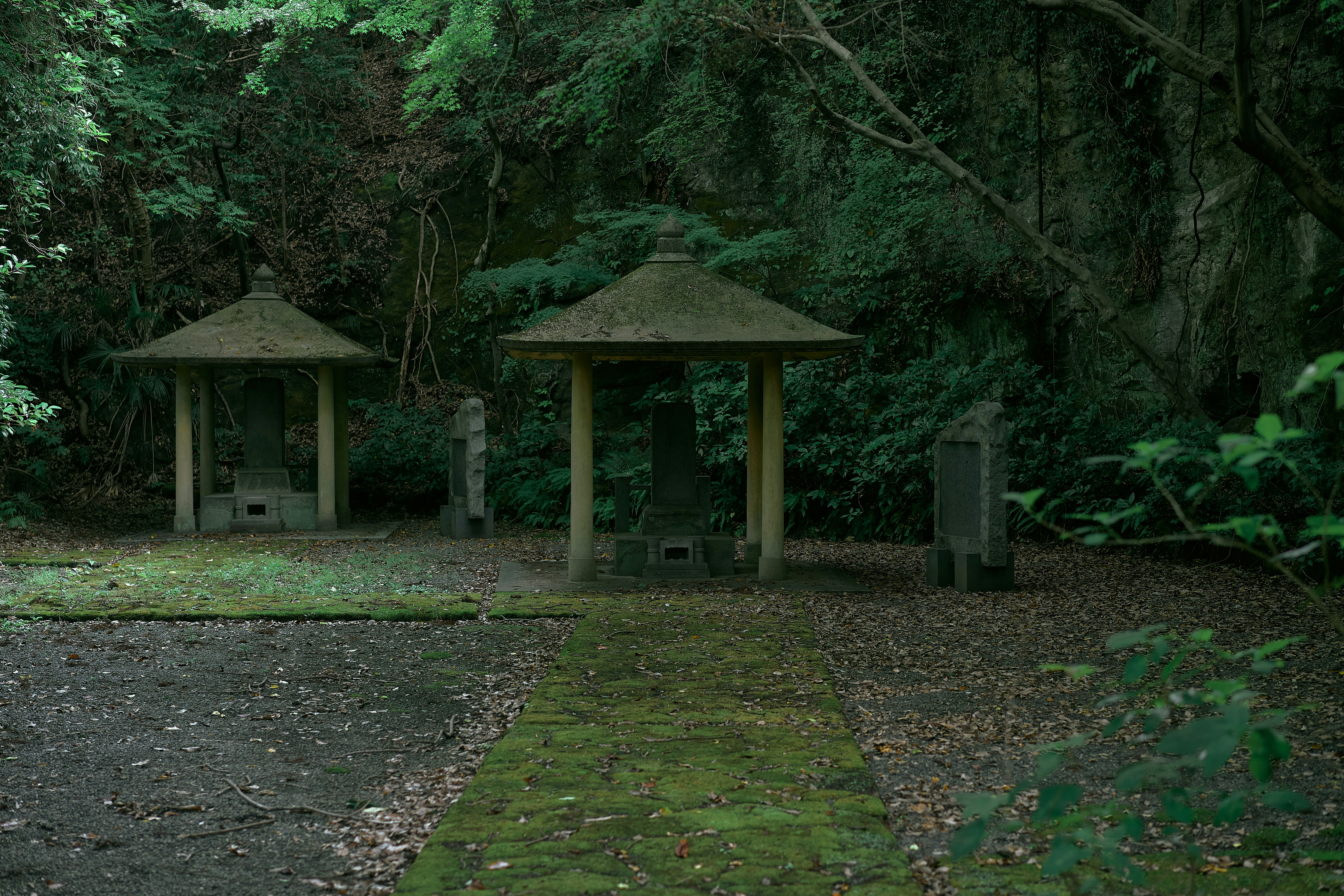 Moss-Cilled Path to Silent Pavilions