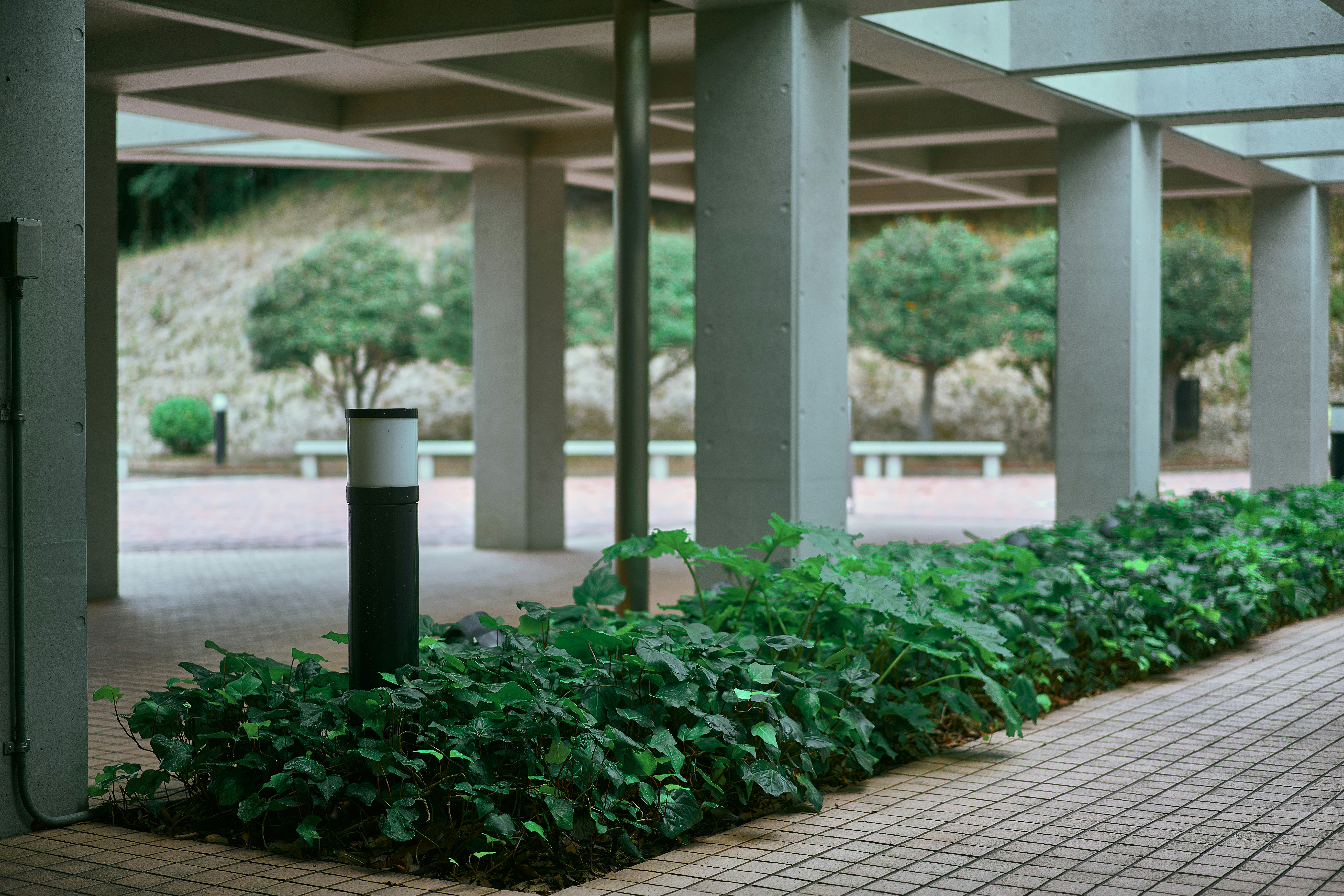 Shaded Corridor with Green Perimeter and Pillar Rhythm