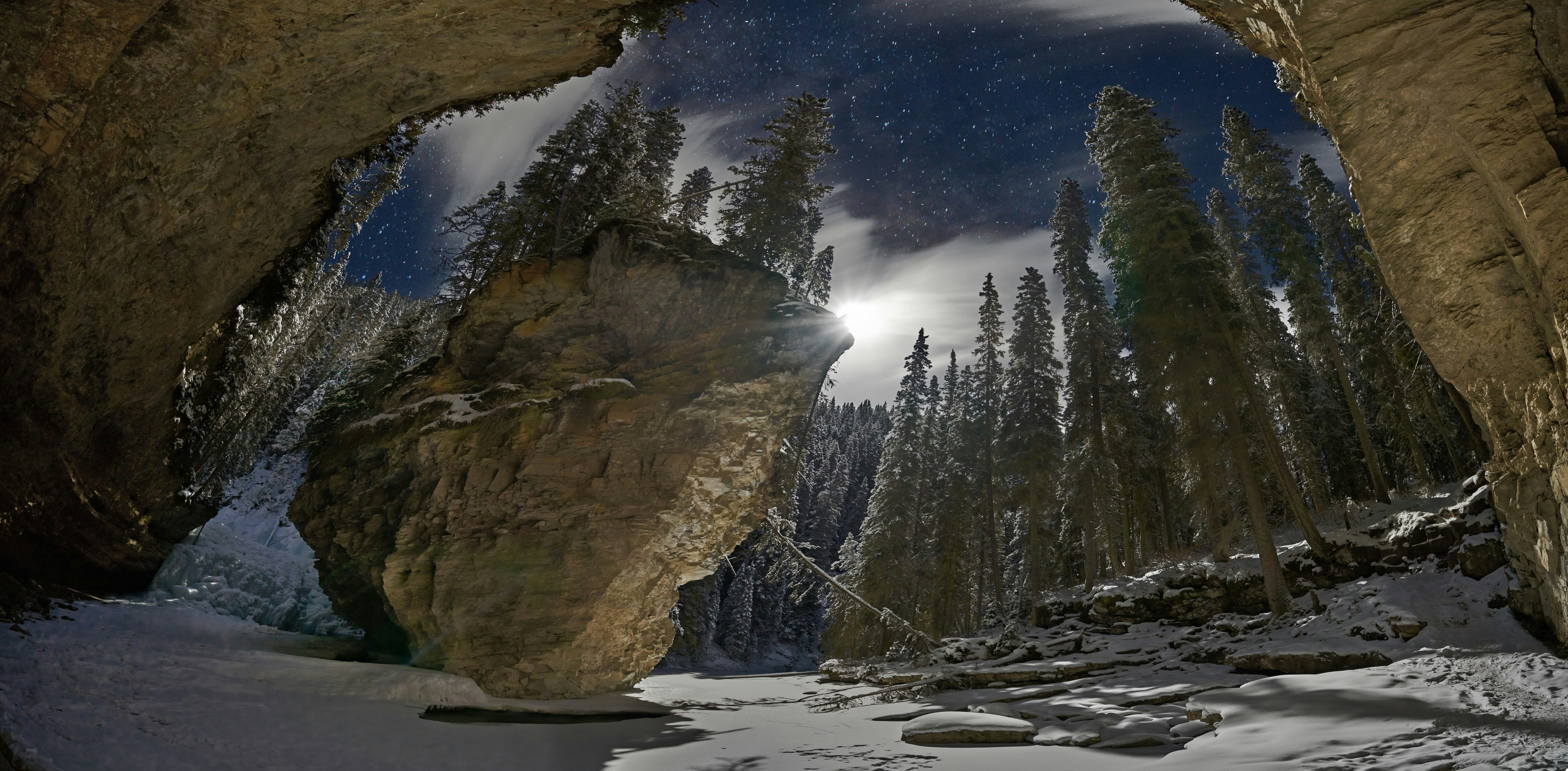 Moonlit Grotto: A Panoramic Snowbound Night under Conifers