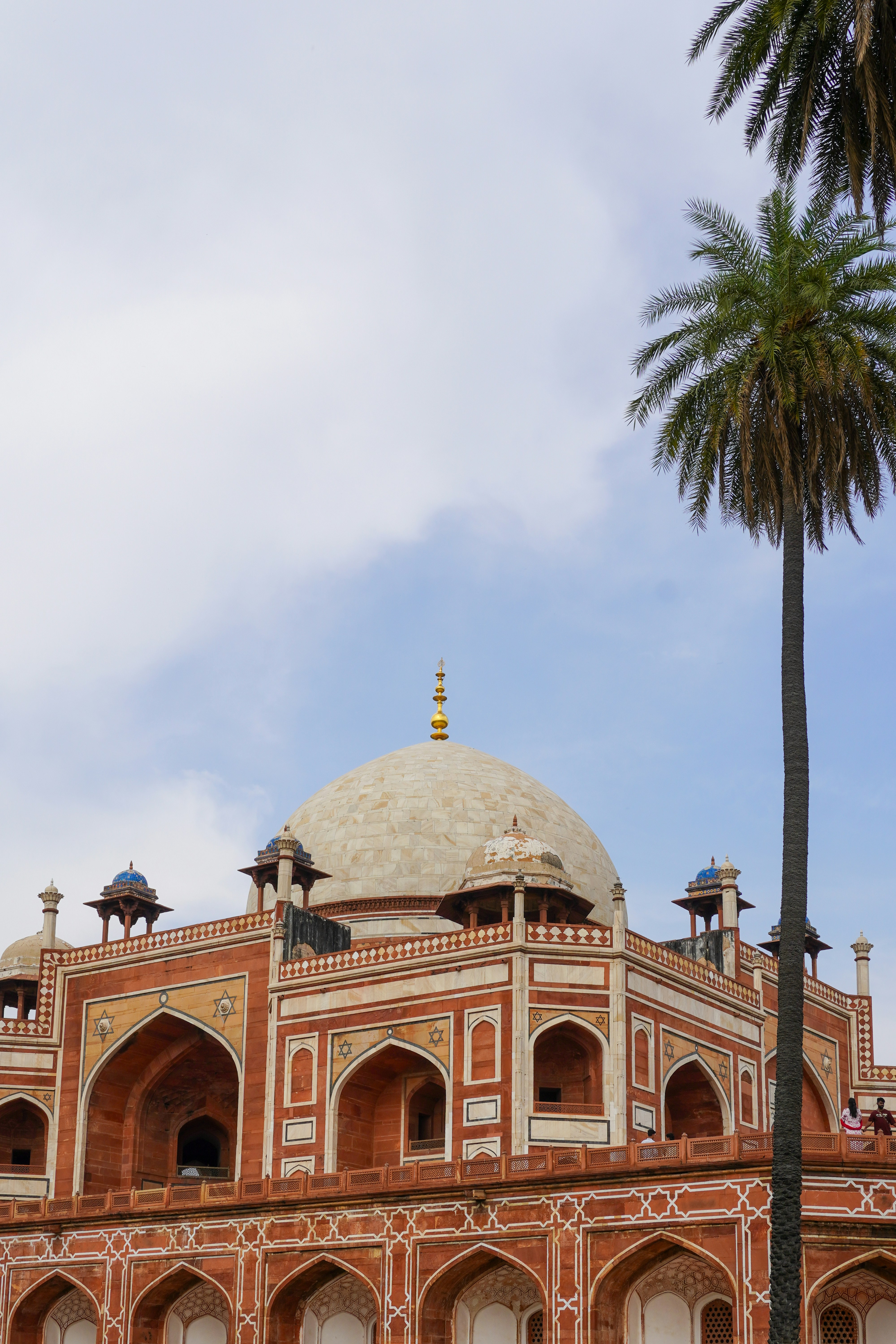 Brickwork and Dome: An Indian Architecture Scene Framed by a Tall Palm