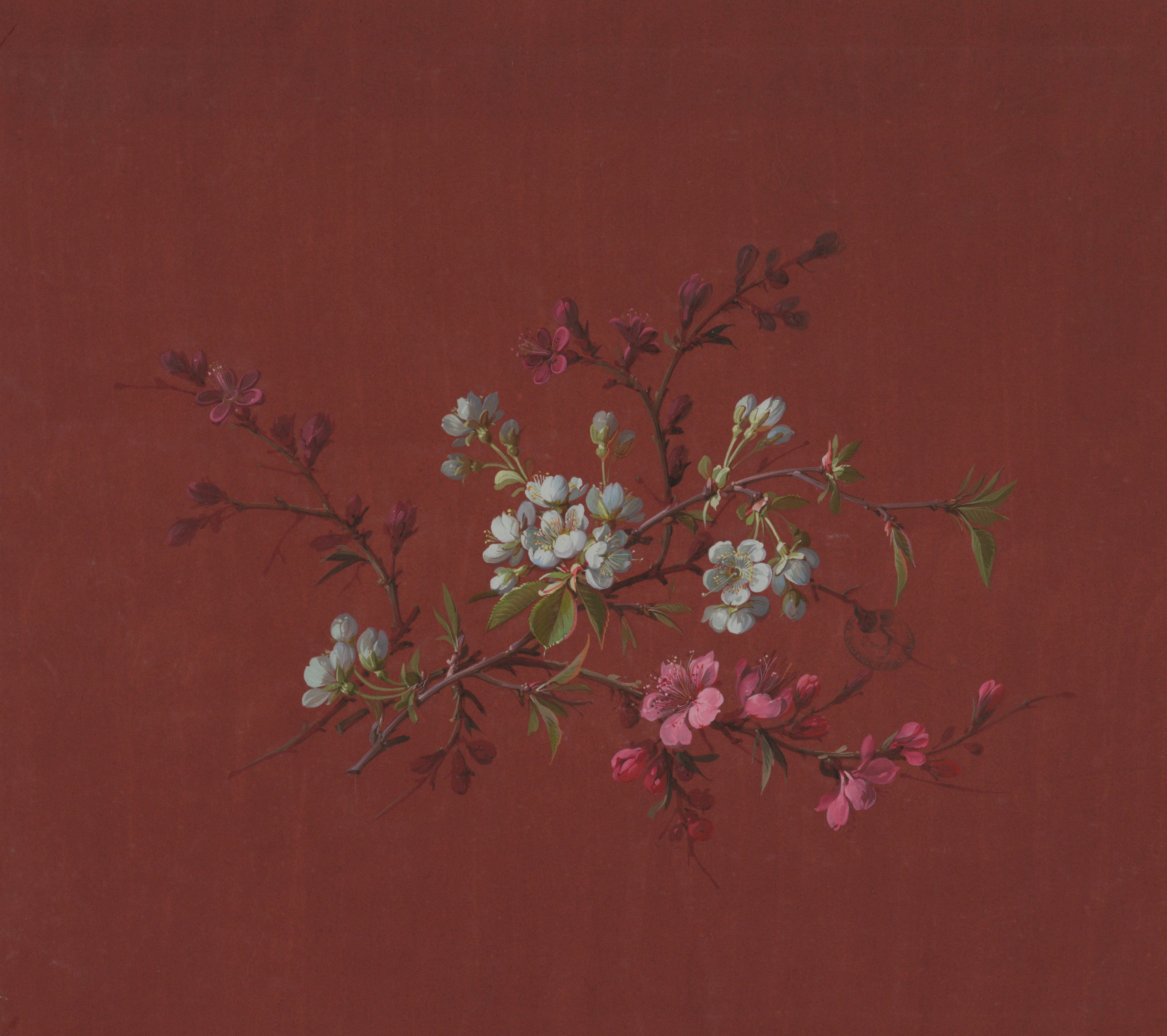 Blossoms on a Crimson Linen: A Delicate Floral Tapestry