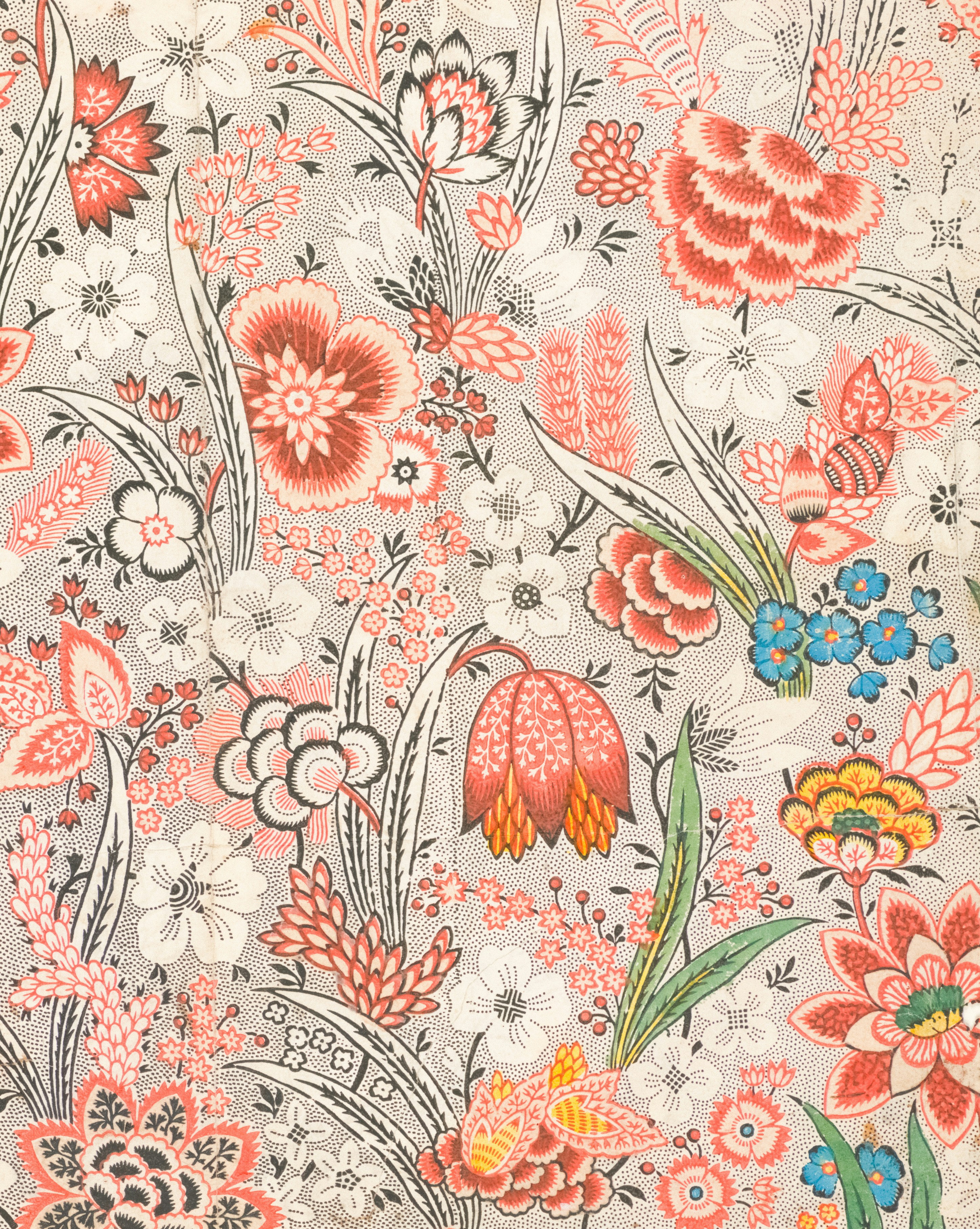 Ornate Garden of Coral and Cream: Floral Tapestry in Bloom