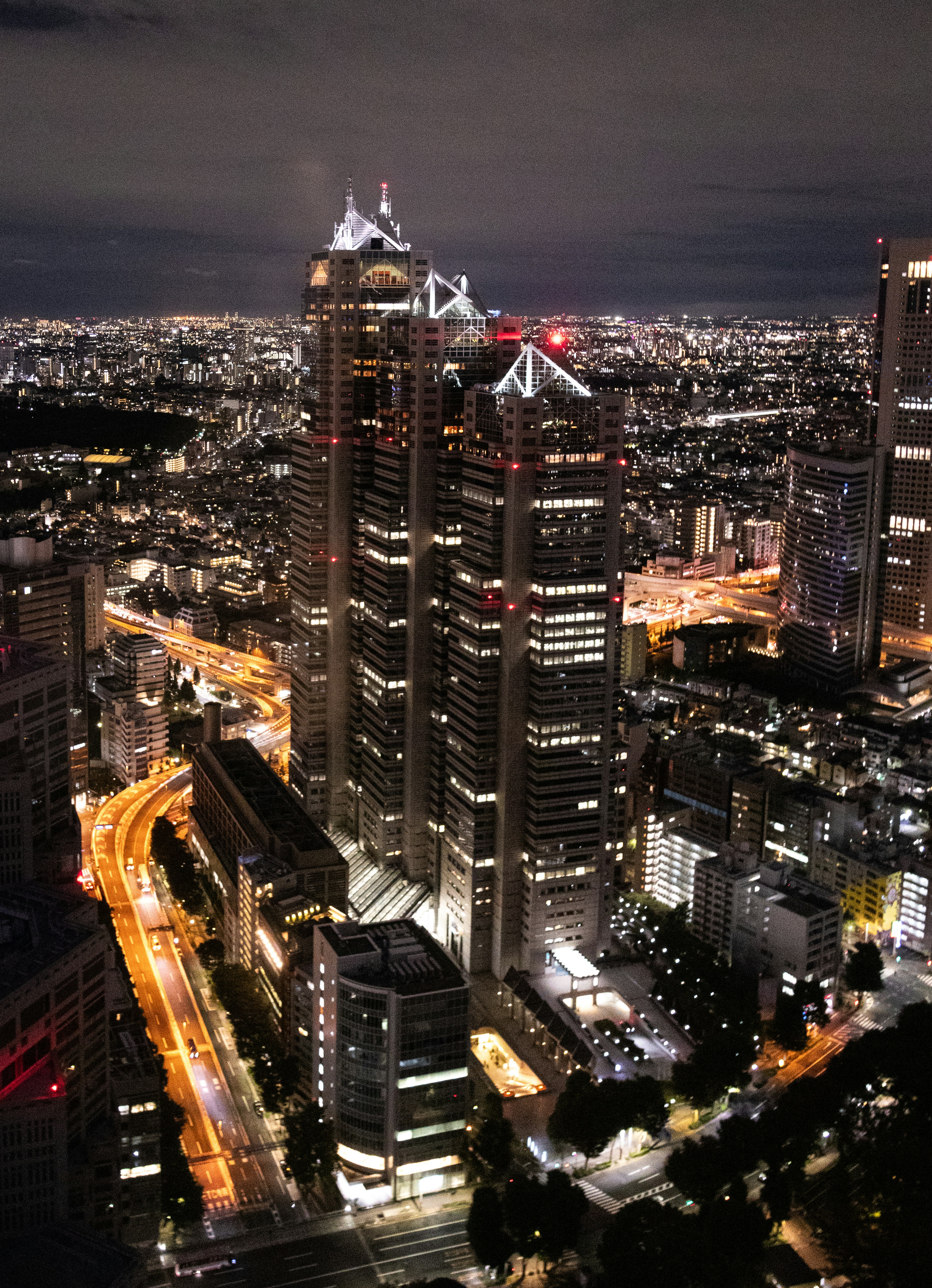 Nighttime Vertical Cityscape: Twin-Tower Crowned by Neon Peaks