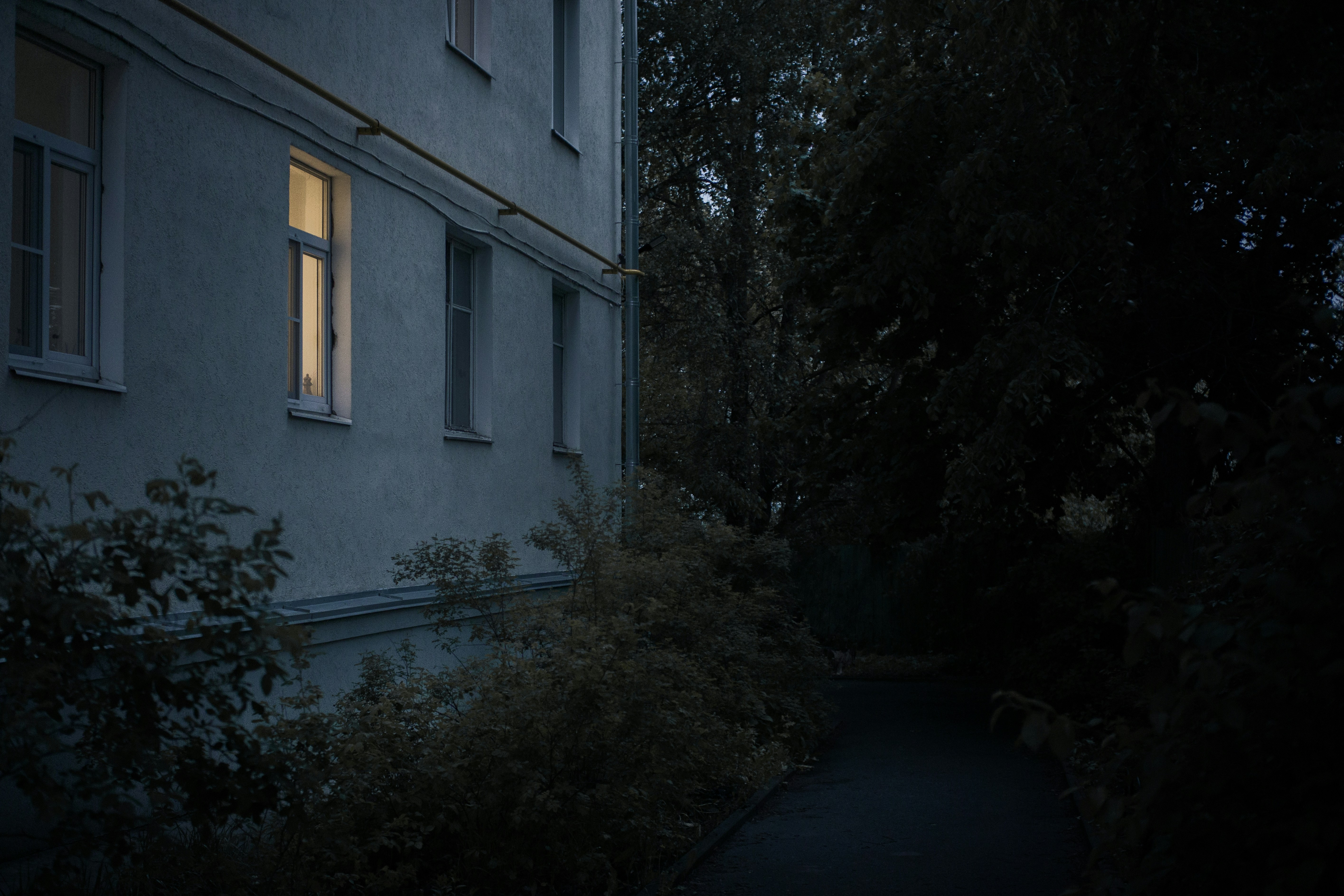 Quiet Corridor of Dusk: A Window in the Blue Facade